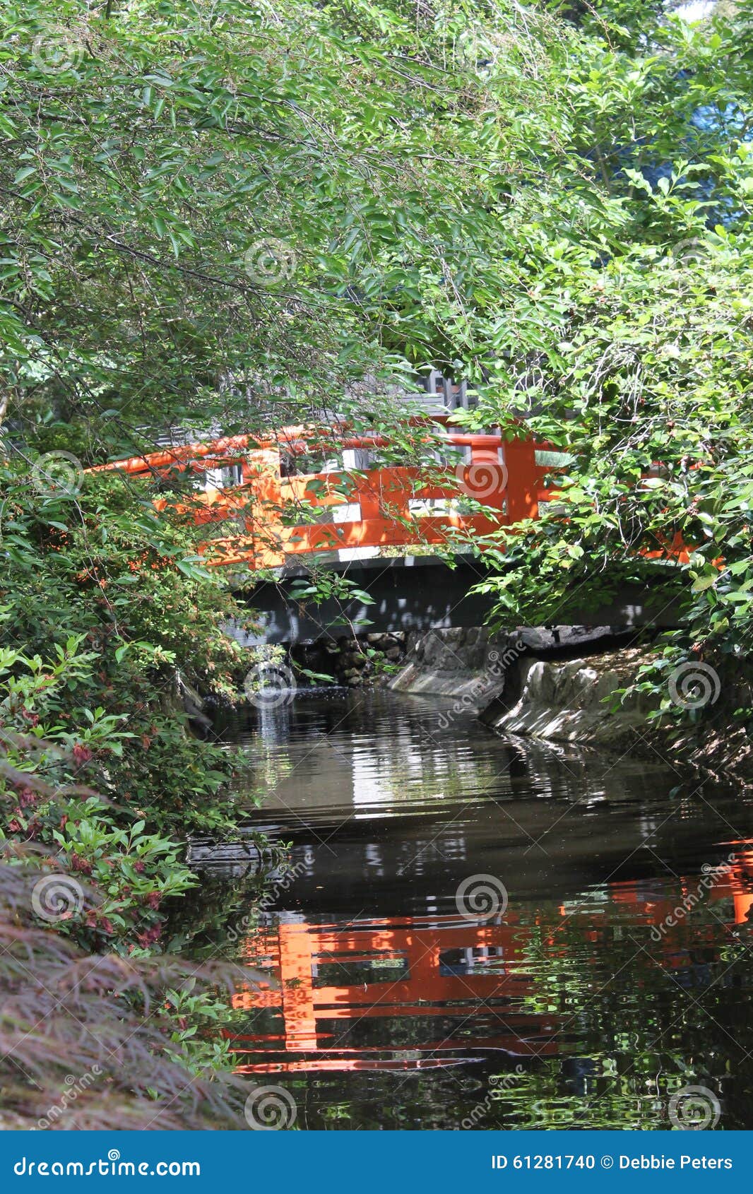 Shaded Red Bridge in Japanese Garden with Reflection Stock Photo ...
