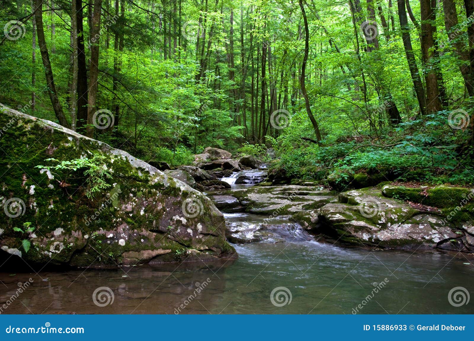 Shaded Creek stock image. Image of appalachians, stream - 15886933