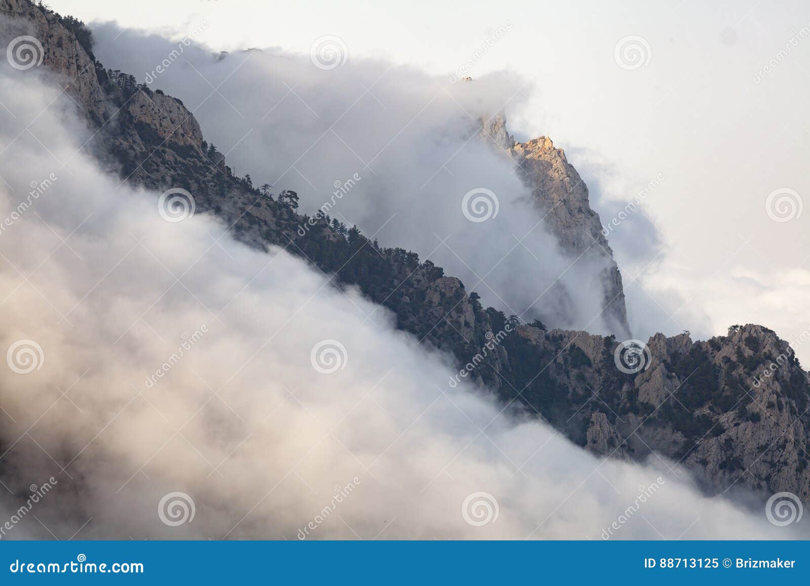 A Shaded Mountain in the Distance with Foreground Trees and Fog. Stock ...