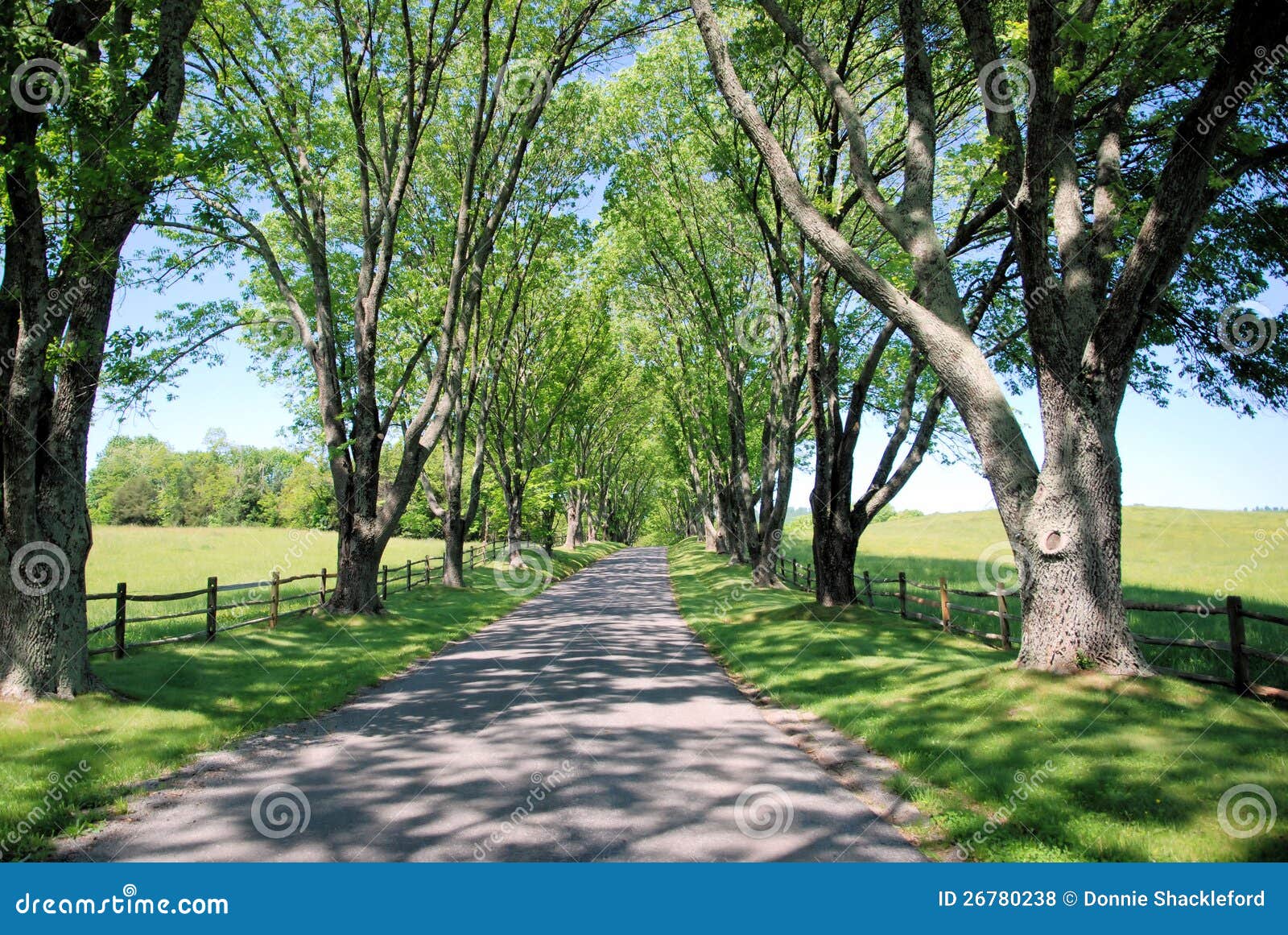 Shaded Path stock photo. Image of rural, fence, shadows - 26780238