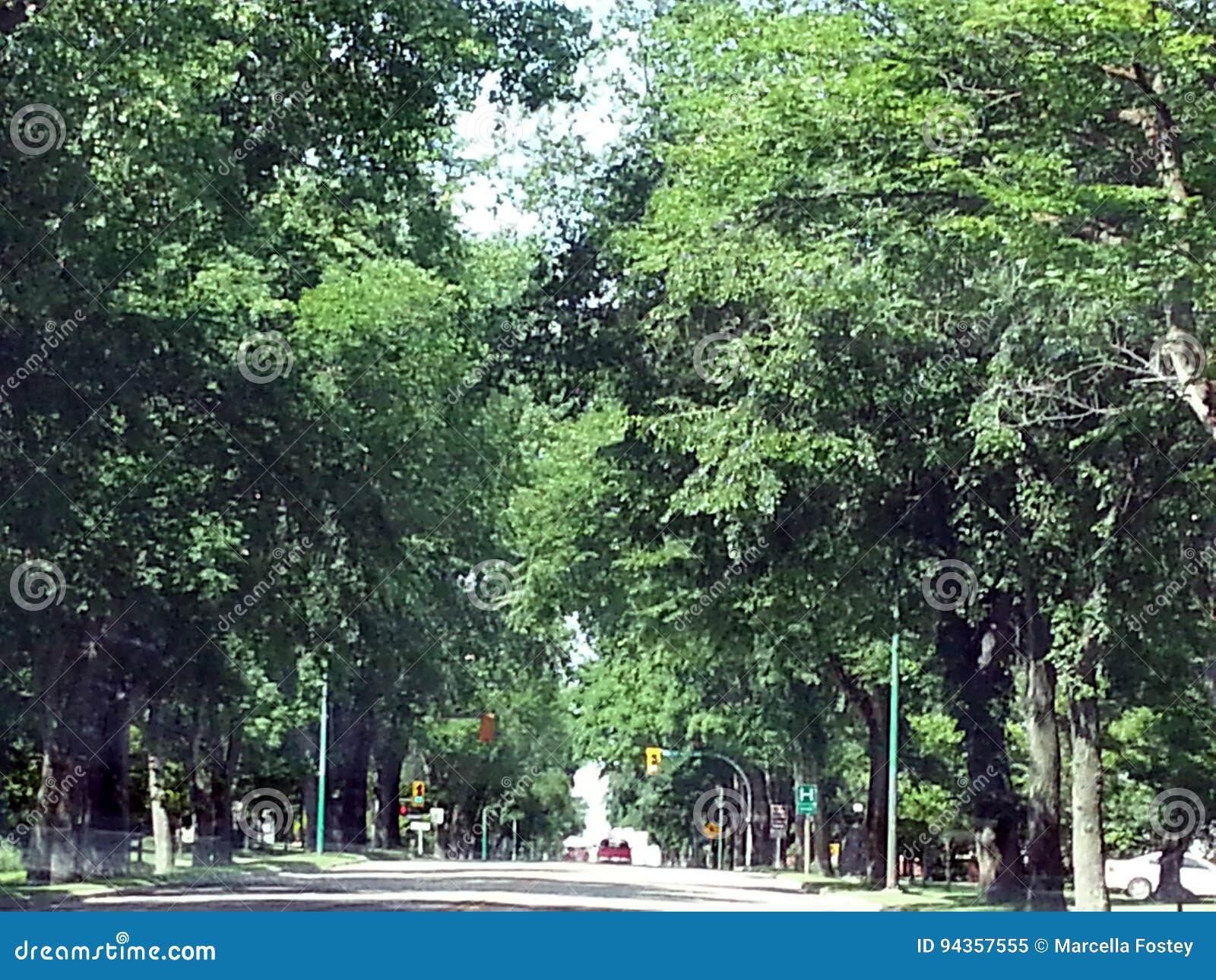 Shaded road stock image. Image of highway, shaded, driving - 94357555