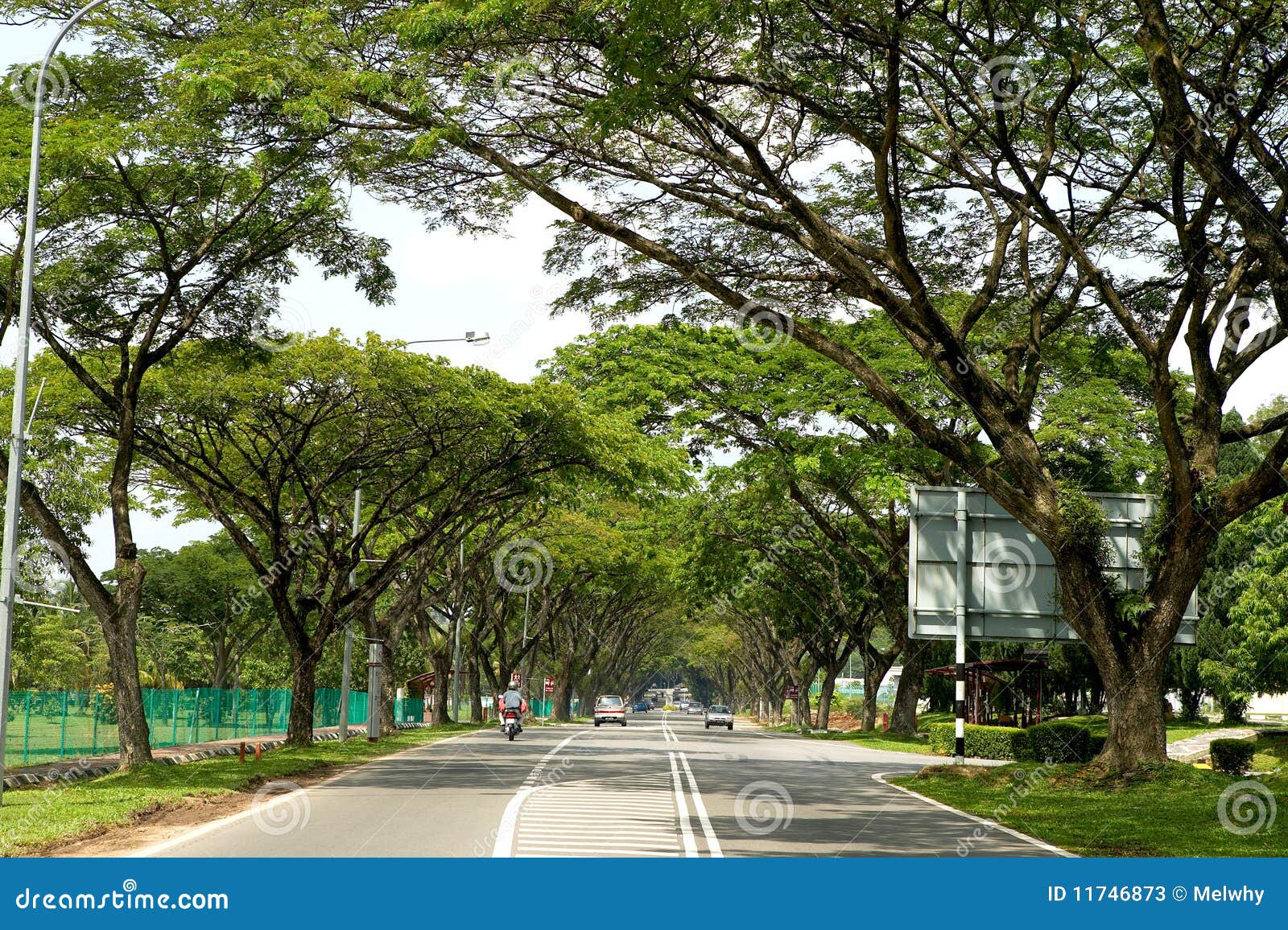 Shaded roads stock image. Image of skies, lanes, trees - 11746873