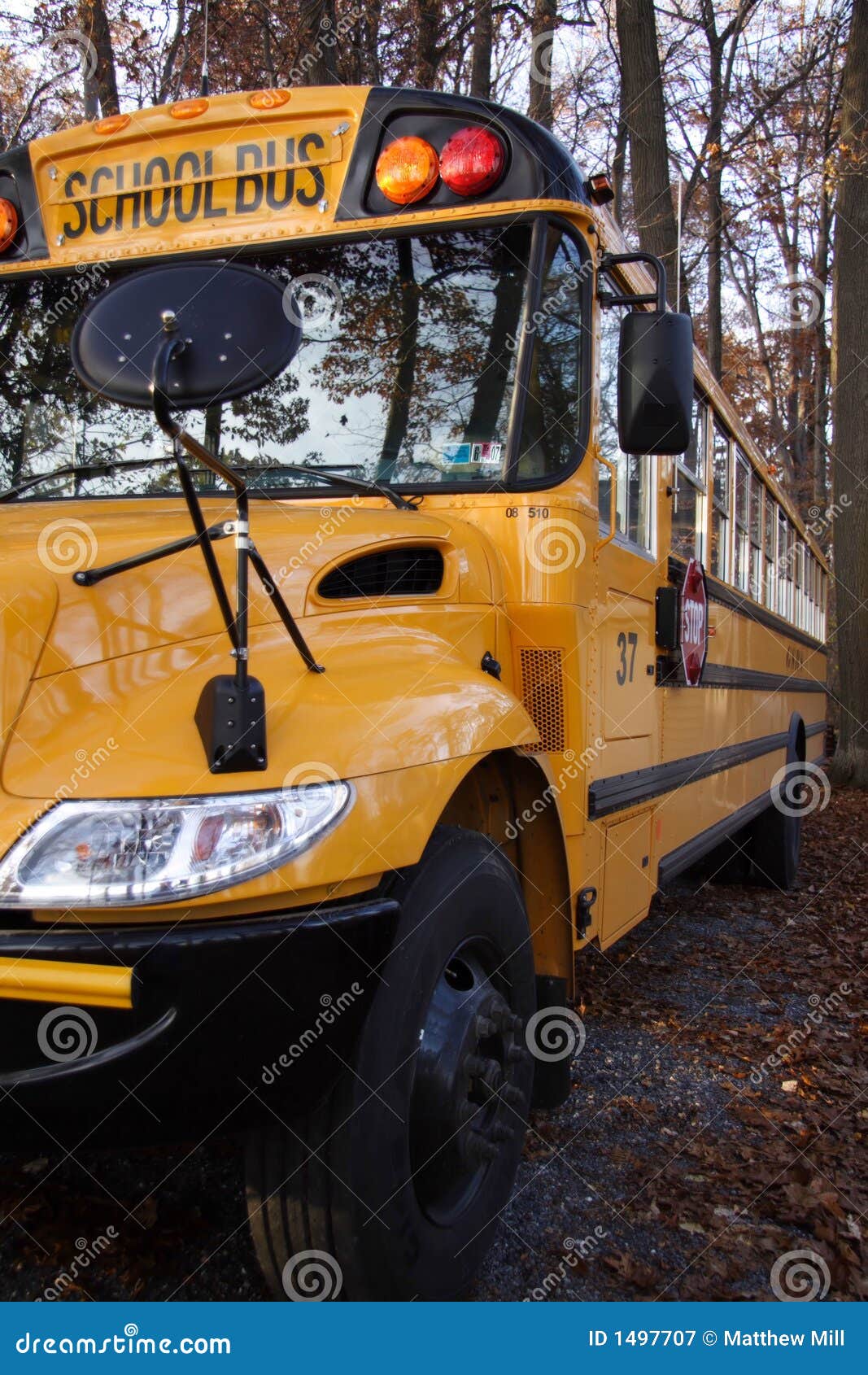 387 Bus Shade Stock Photos - Free & Royalty-Free Stock Photos from ...