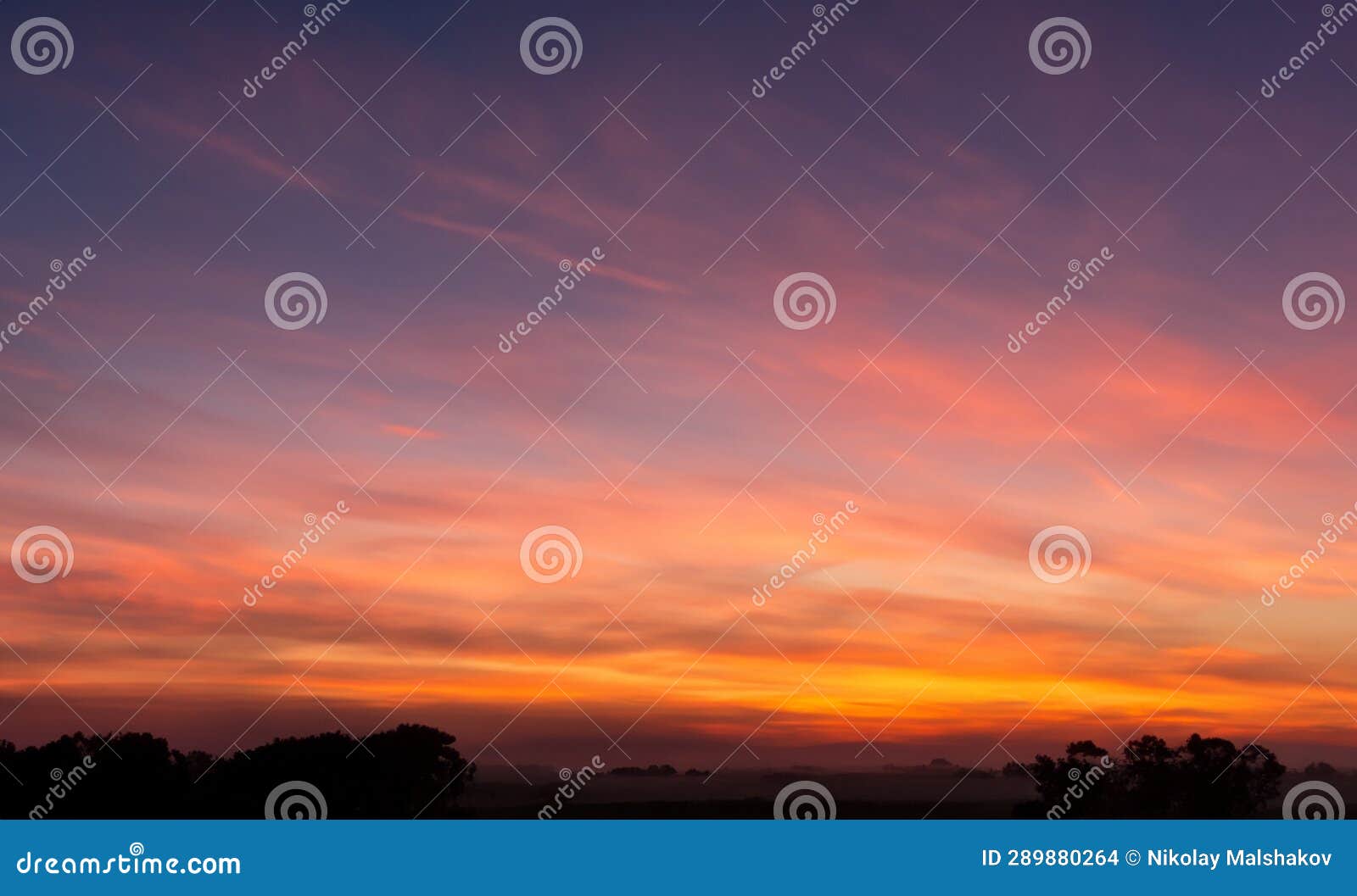 Shades of Orange Blend Seamlessly with the Soft Glow of Morning Light ...