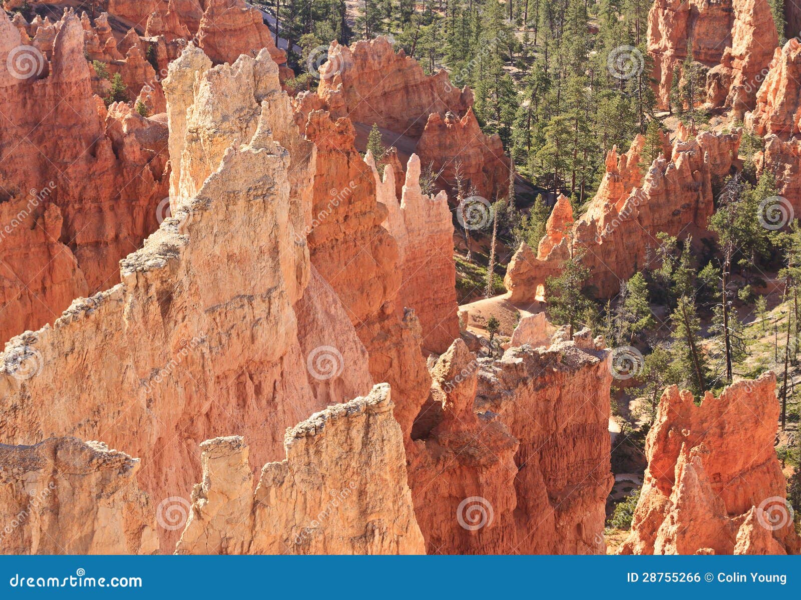 Shades of Orange Fins stock photo. Image of nature, dunes - 28755266