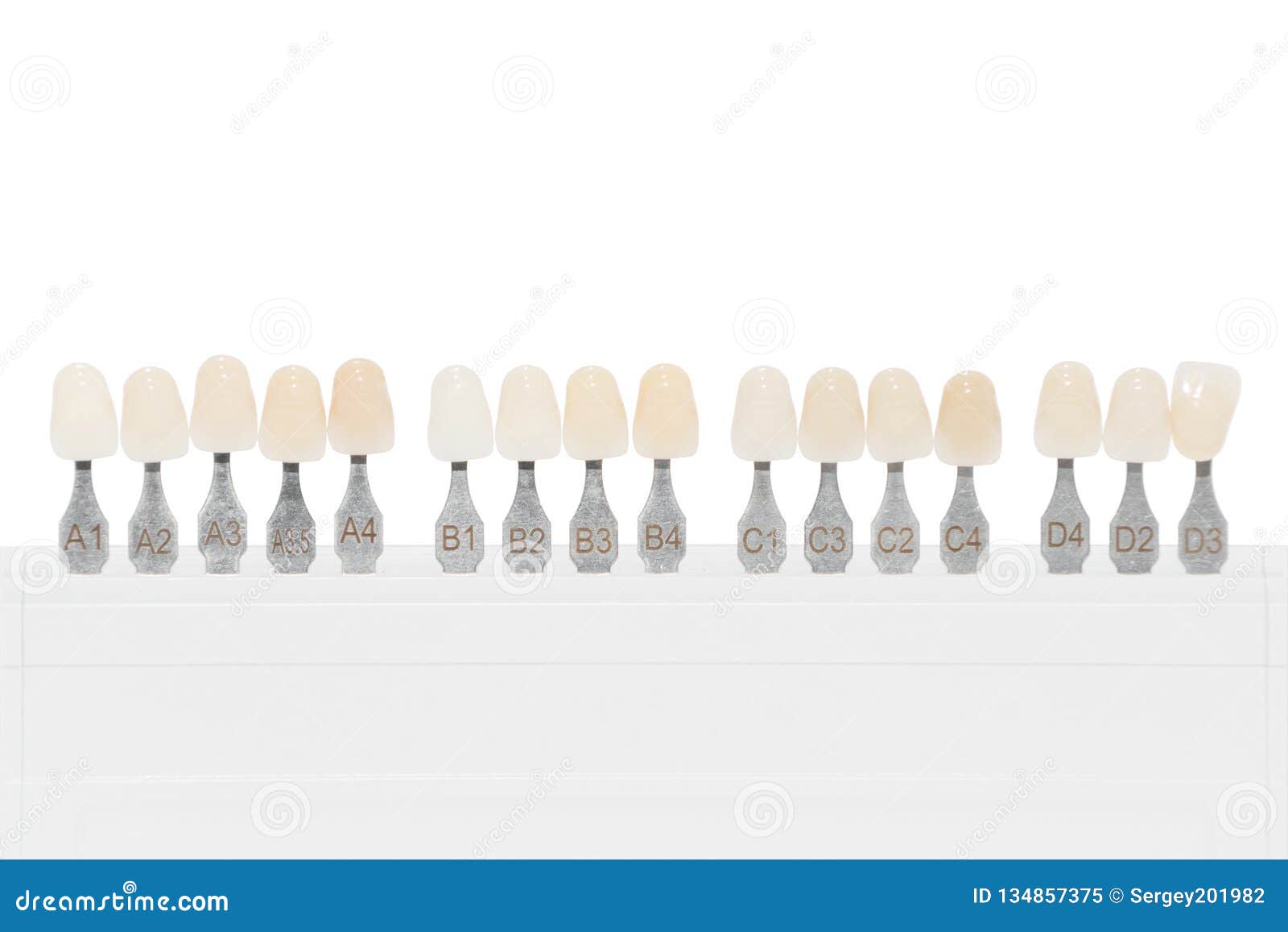 Shades of Teeth. Layout Closeup Stock Image - Image of layout, denture ...