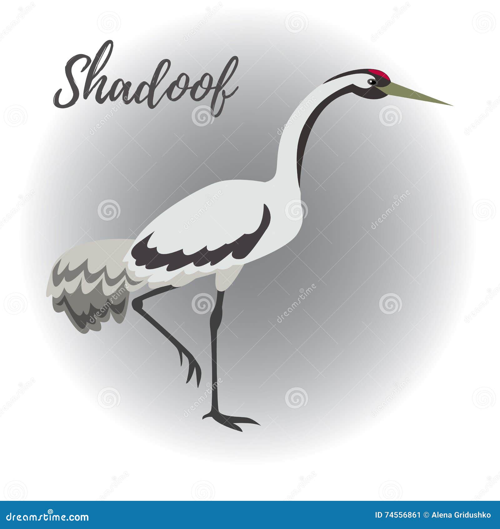 Shadoof Bird Spiral Pattern Color Silhouette Animal Cartoon Vector ...