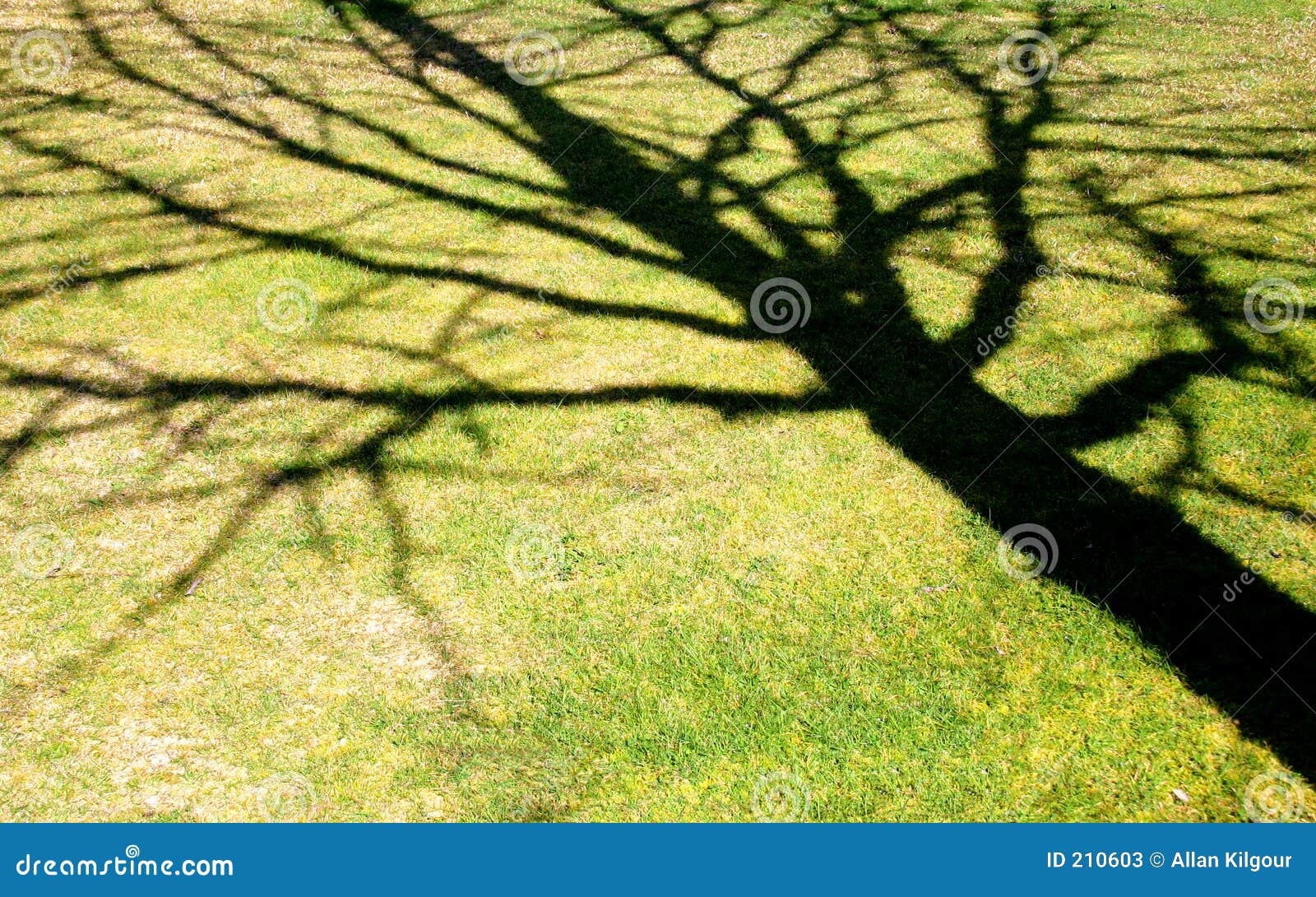 The Shadow stock image. Image of shape, light, shadow, winter - 210603