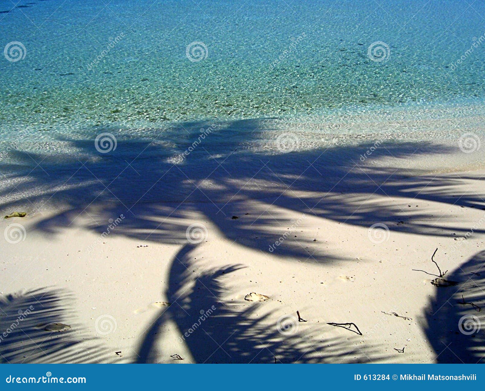 Shadow stock photo. Image of water, palm, ocean, kuramathi - 613284