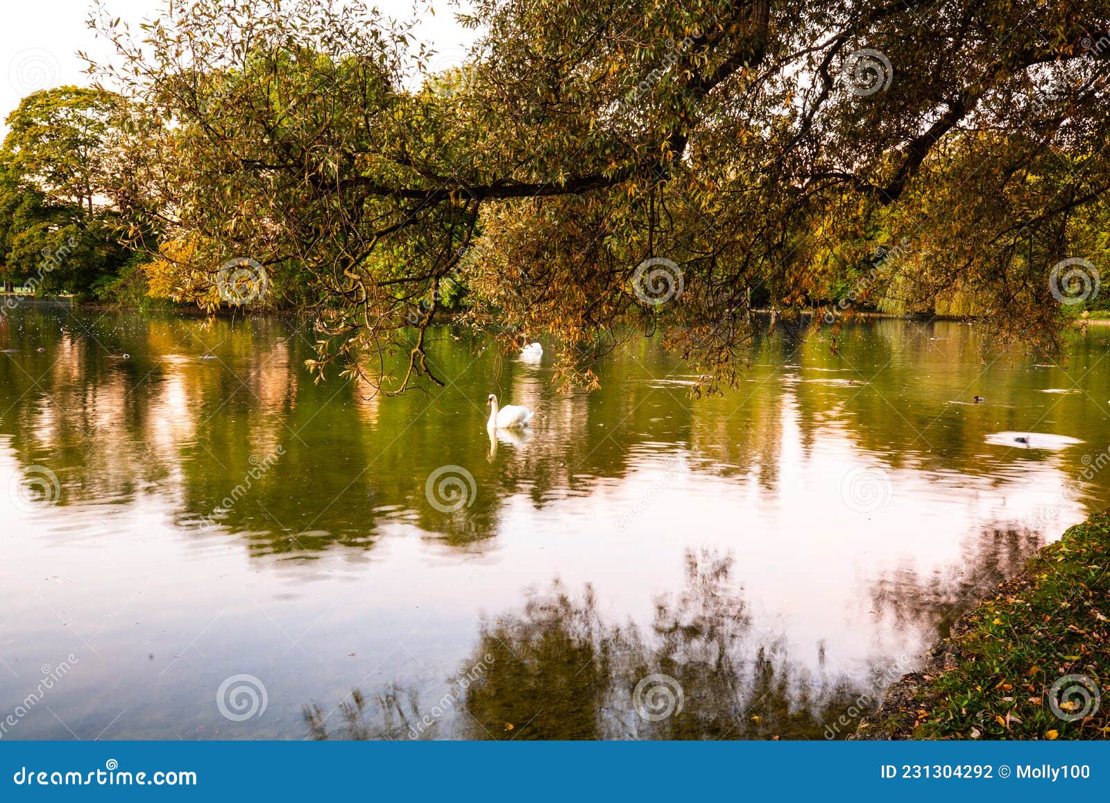 Shadow of an Angel, Black White Stock Photo - Image of holiday ...