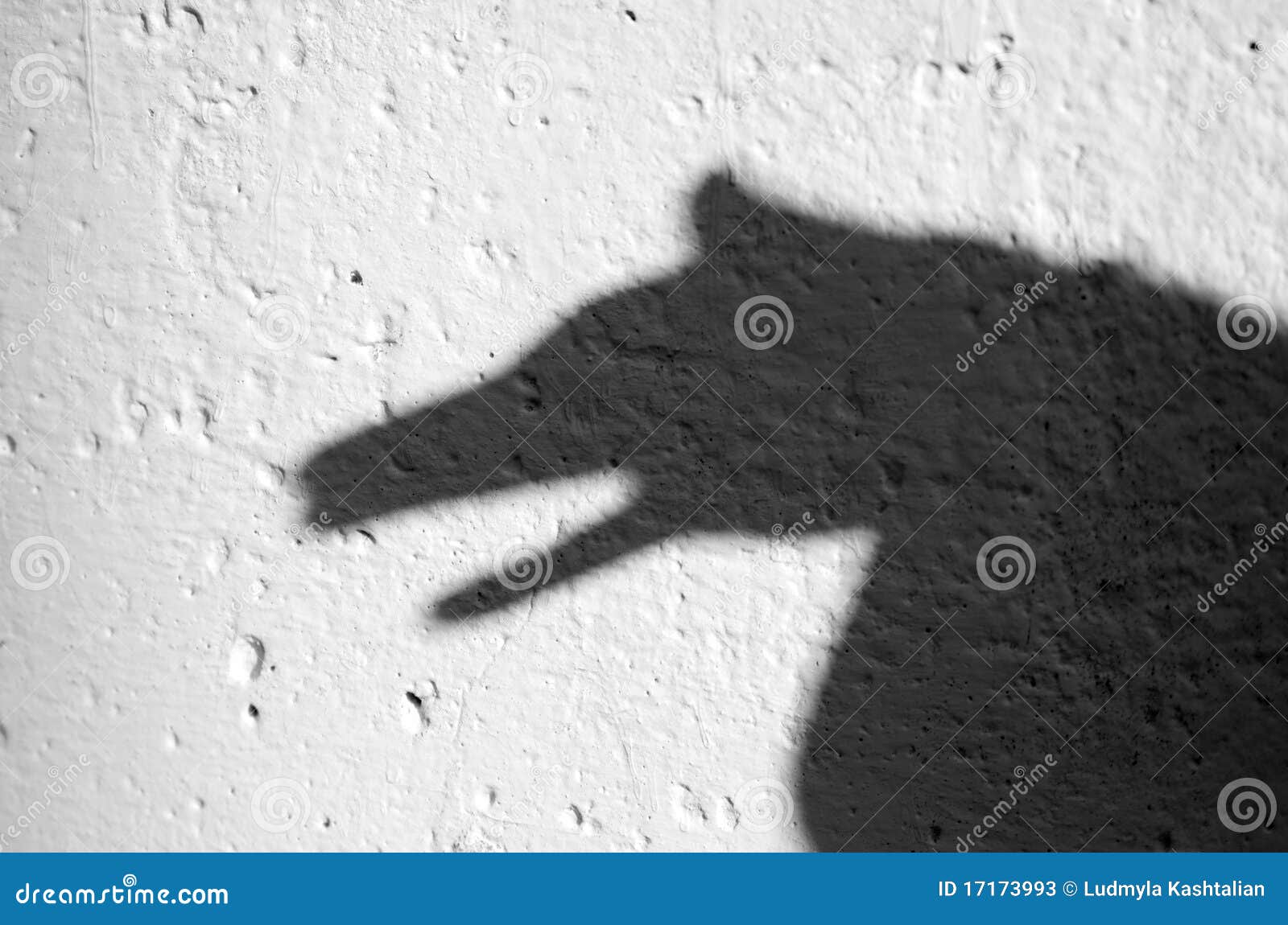 Shadow of animal stock image. Image of white, wall, contour - 17173993