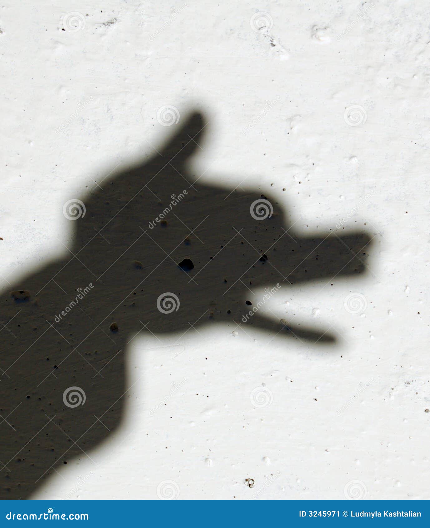 Shadow of animal stock image. Image of figure, volf, wall - 3245971