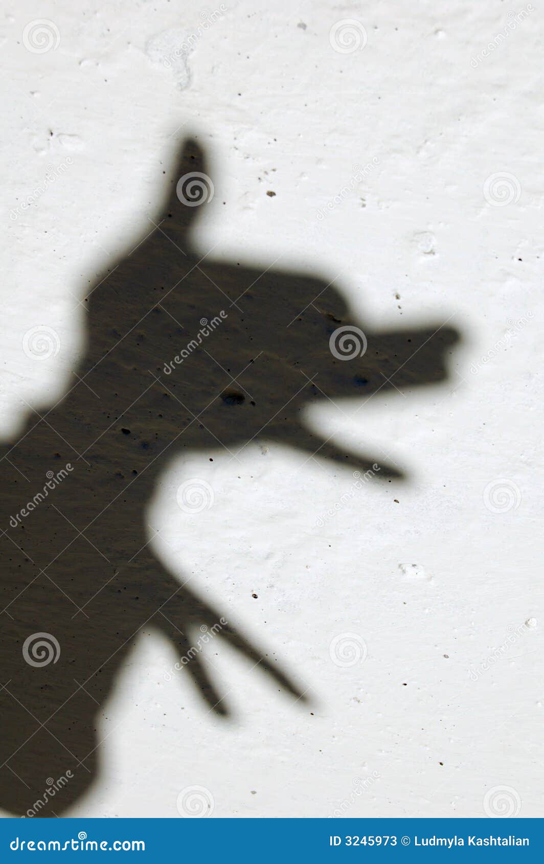 Shadow of animal stock image. Image of shape, shadow, black - 3245973