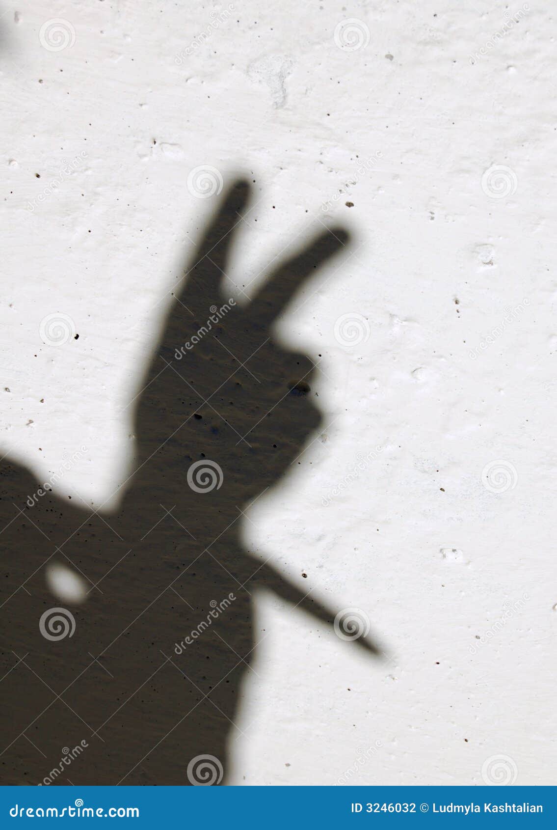 Shadow of animal stock photo. Image of hare, wall, white - 3246032