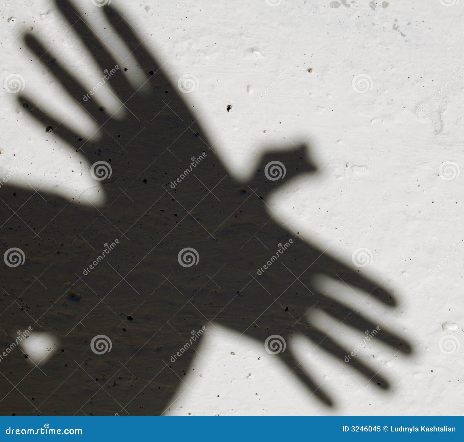 Shadow of animal stock image. Image of shape, pigeon, fingers - 3246045