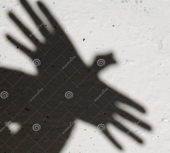 Shadow of animal stock image. Image of shape, pigeon, fingers - 3246045