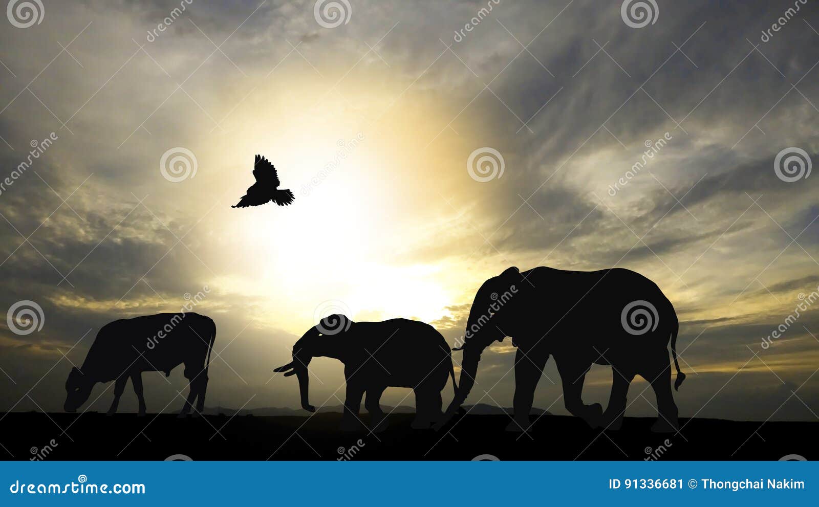 Shadow of animal stock illustration. Illustration of safari - 91336681