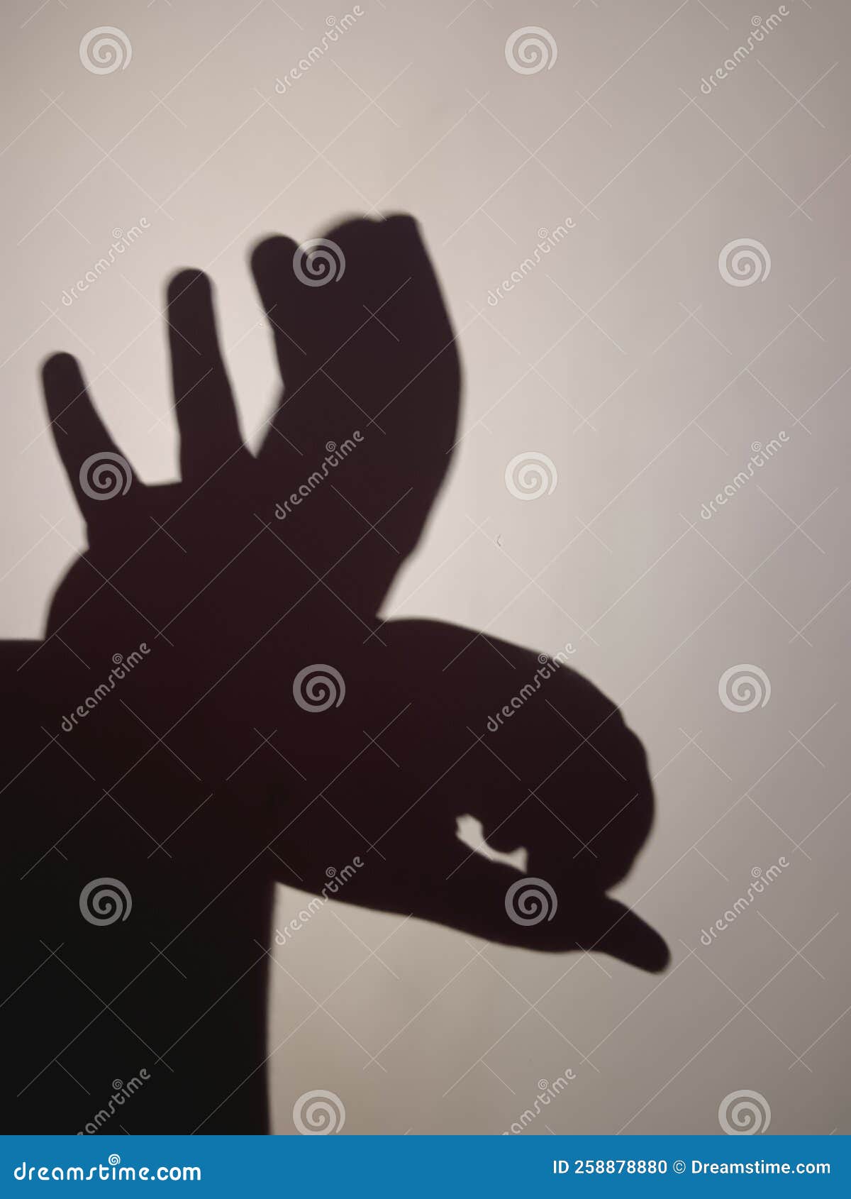 Shadow Animals with Hands and Light Stock Photo - Image of shadow ...