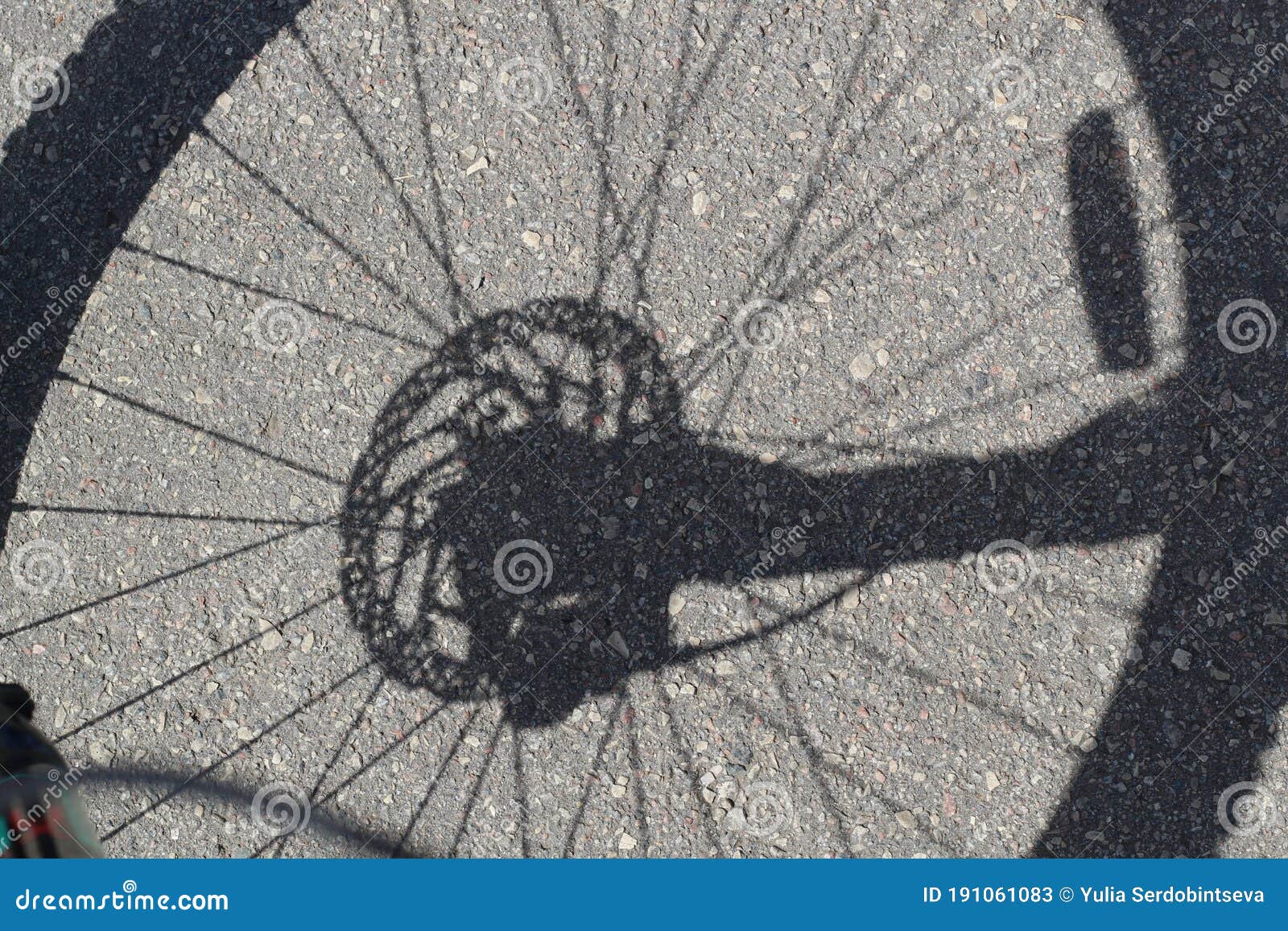 Shadow on the Asphalt of a Bicycle Wheel with Disc Brakes Stock Image ...