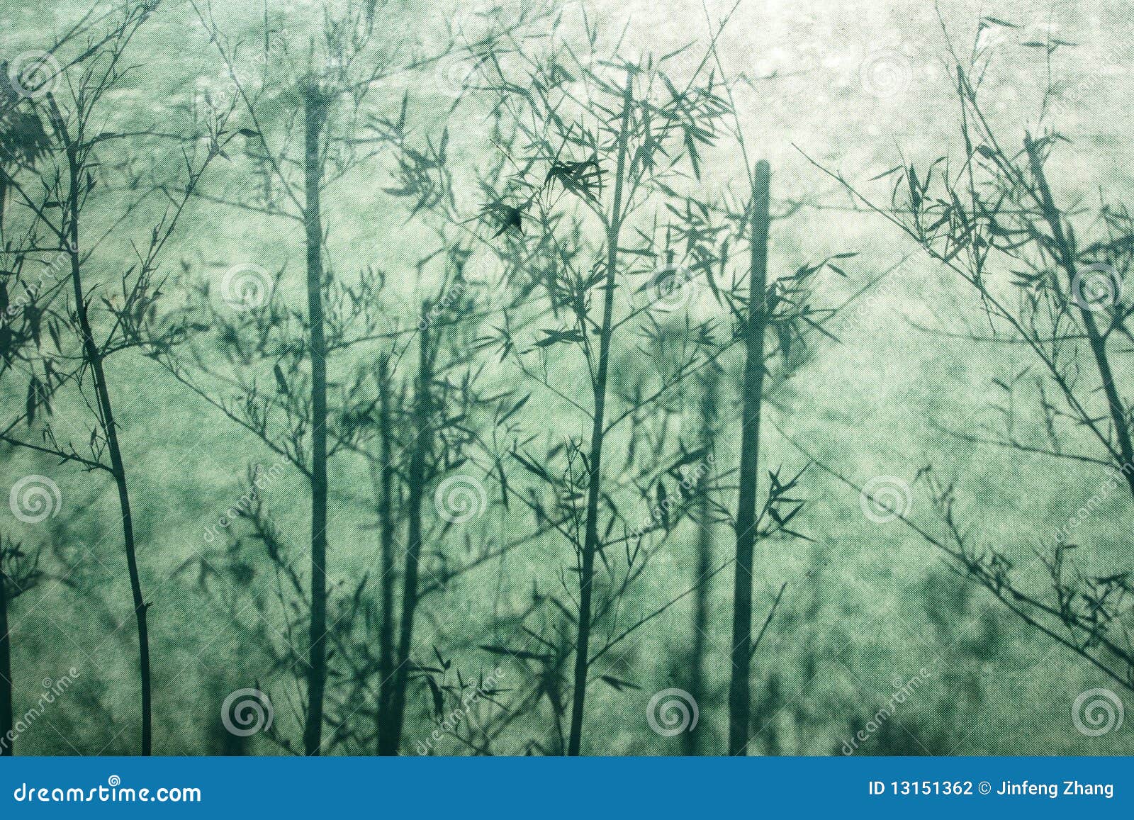 Shadow of bamboo stock photo. Image of texture, bamboo - 13151362