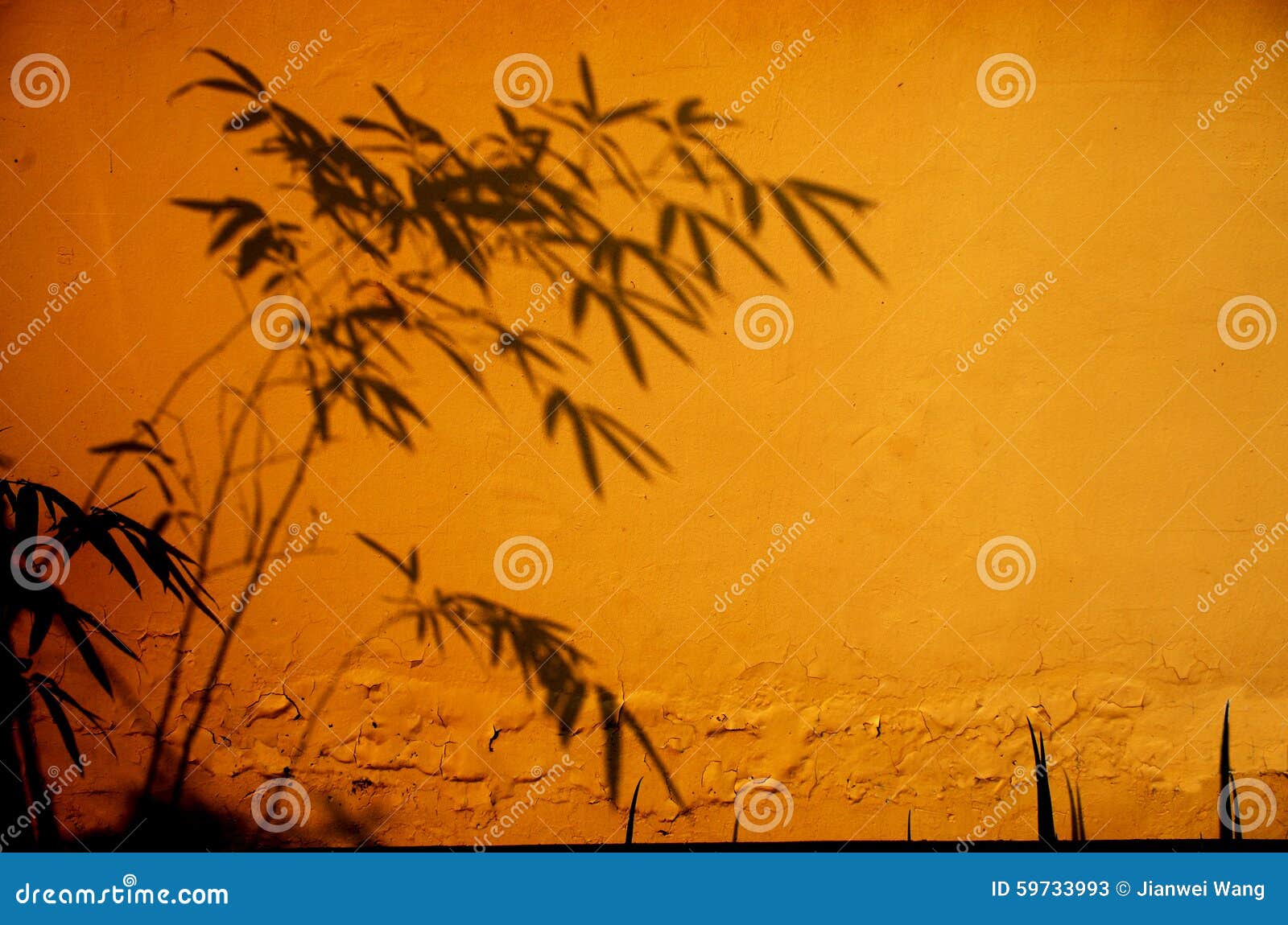 A shadow of bamboo stock image. Image of wall, pattern - 59733993