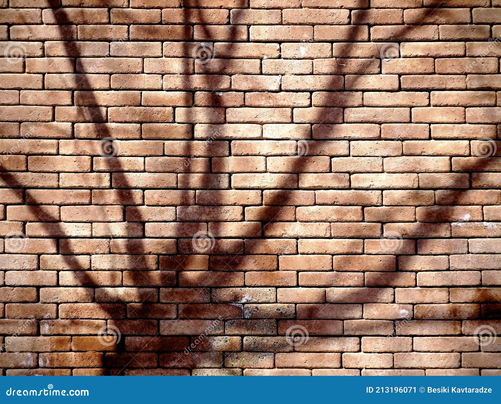 Brick Wall with a Shadow of a Tree. Stock Image - Image of grunge ...