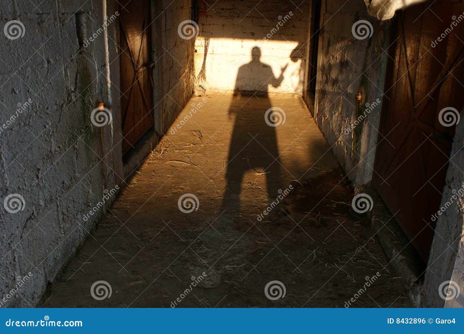 Shadow in the barn stock photo. Image of farm, figure - 8432896