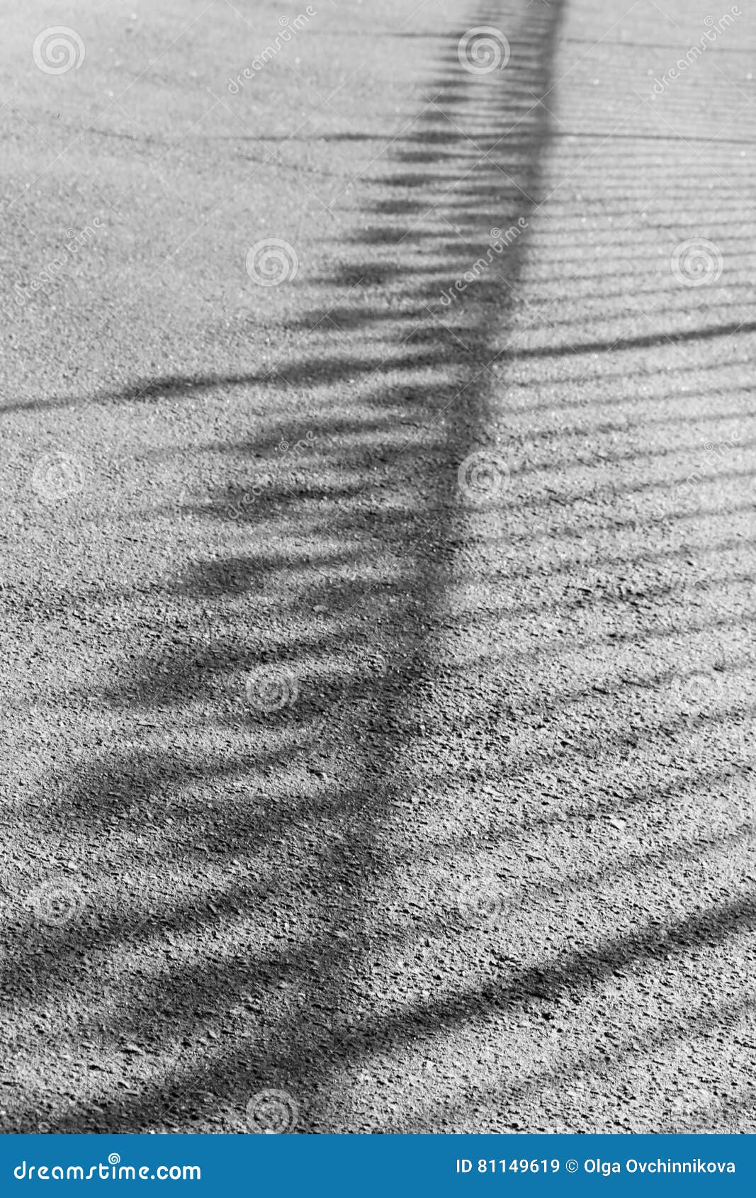 The Shadow of the Bars on the Pavement. Stock Image - Image of street ...