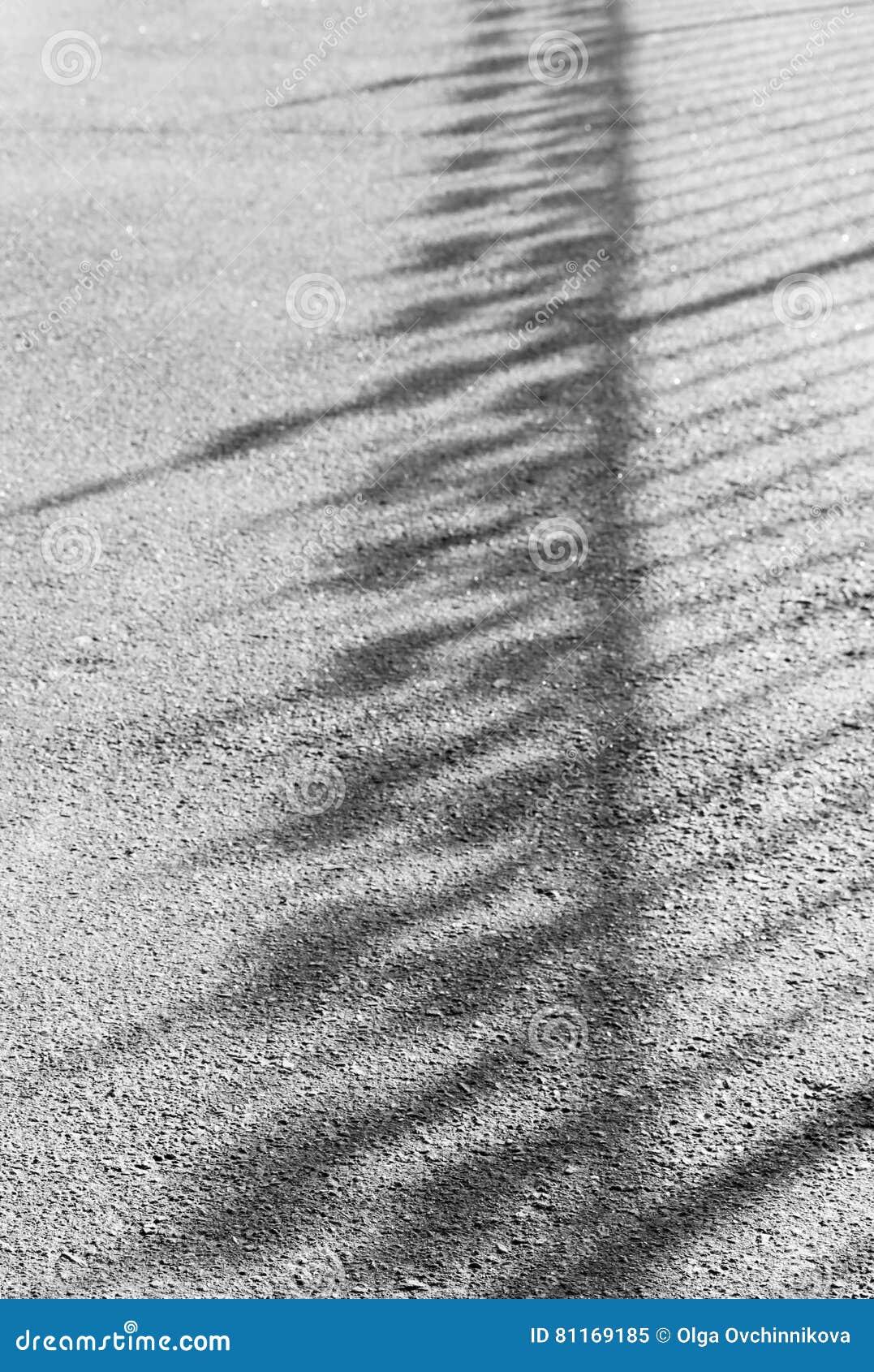 The Shadow of the Bars on the Pavement. Stock Image - Image of pavement ...
