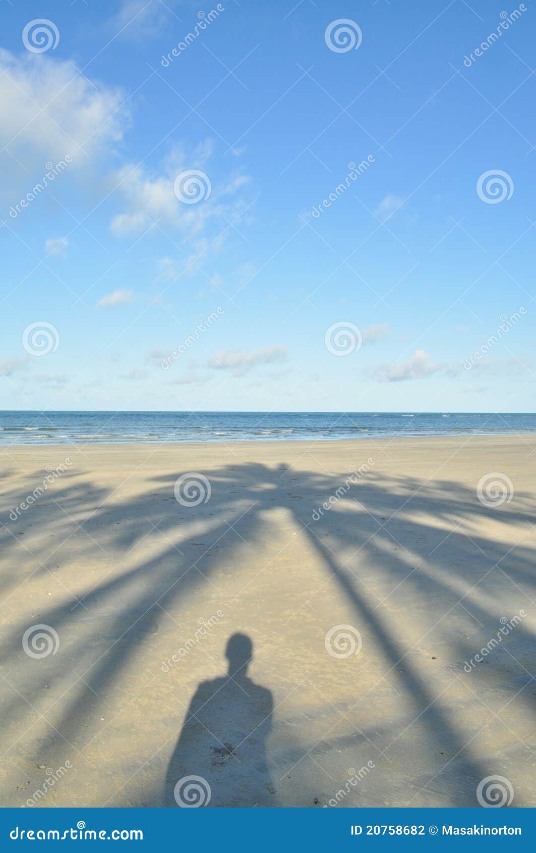 Shadow on the Beach stock photo. Image of recreation - 20758682