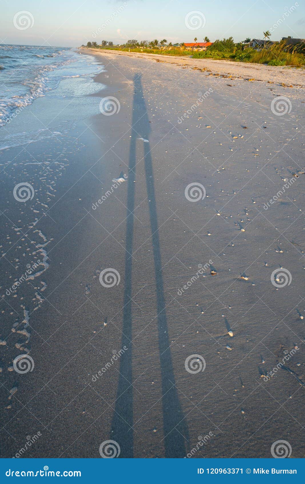 Shadow on the Beach stock image. Image of travel, sunset - 120963371