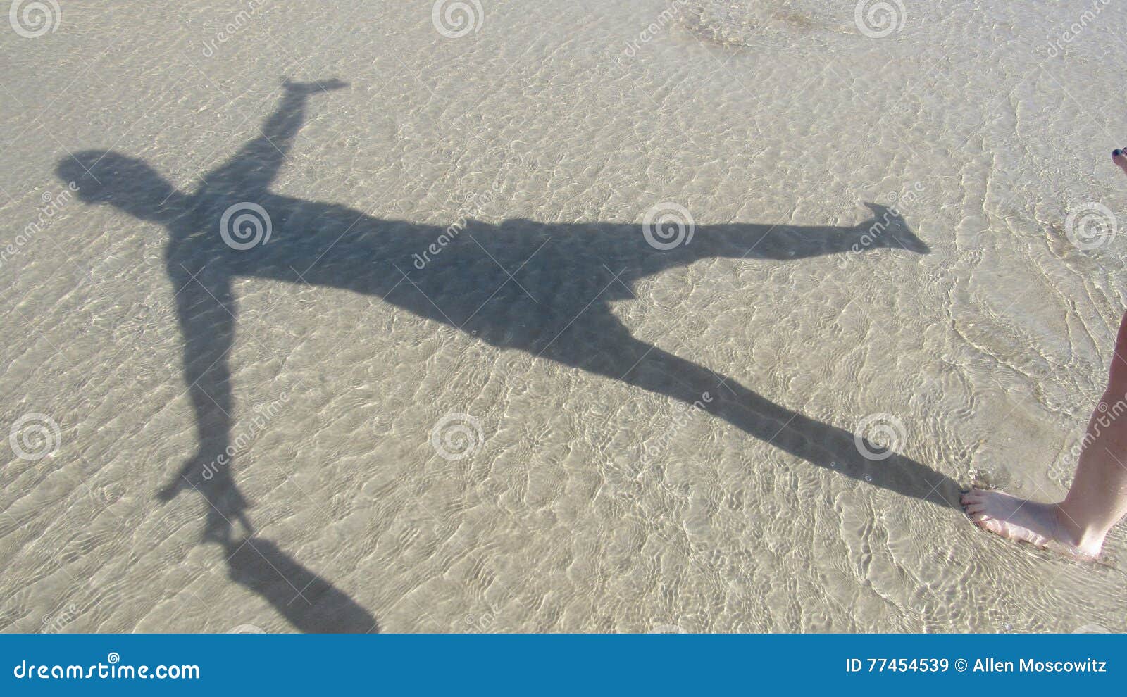Shadow on the Beach stock image. Image of sunny, beach - 77454539