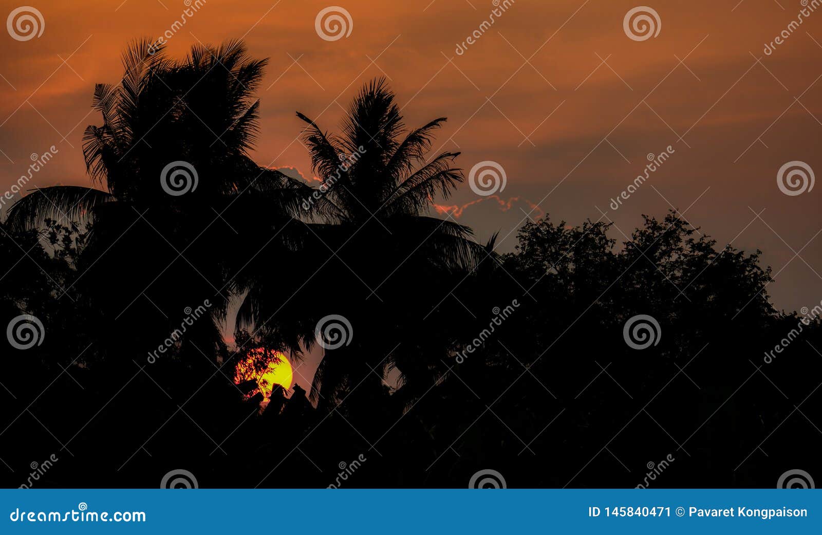 The Shadow Behind the Tree and the Sky, the Evening Sunset Stock Image ...