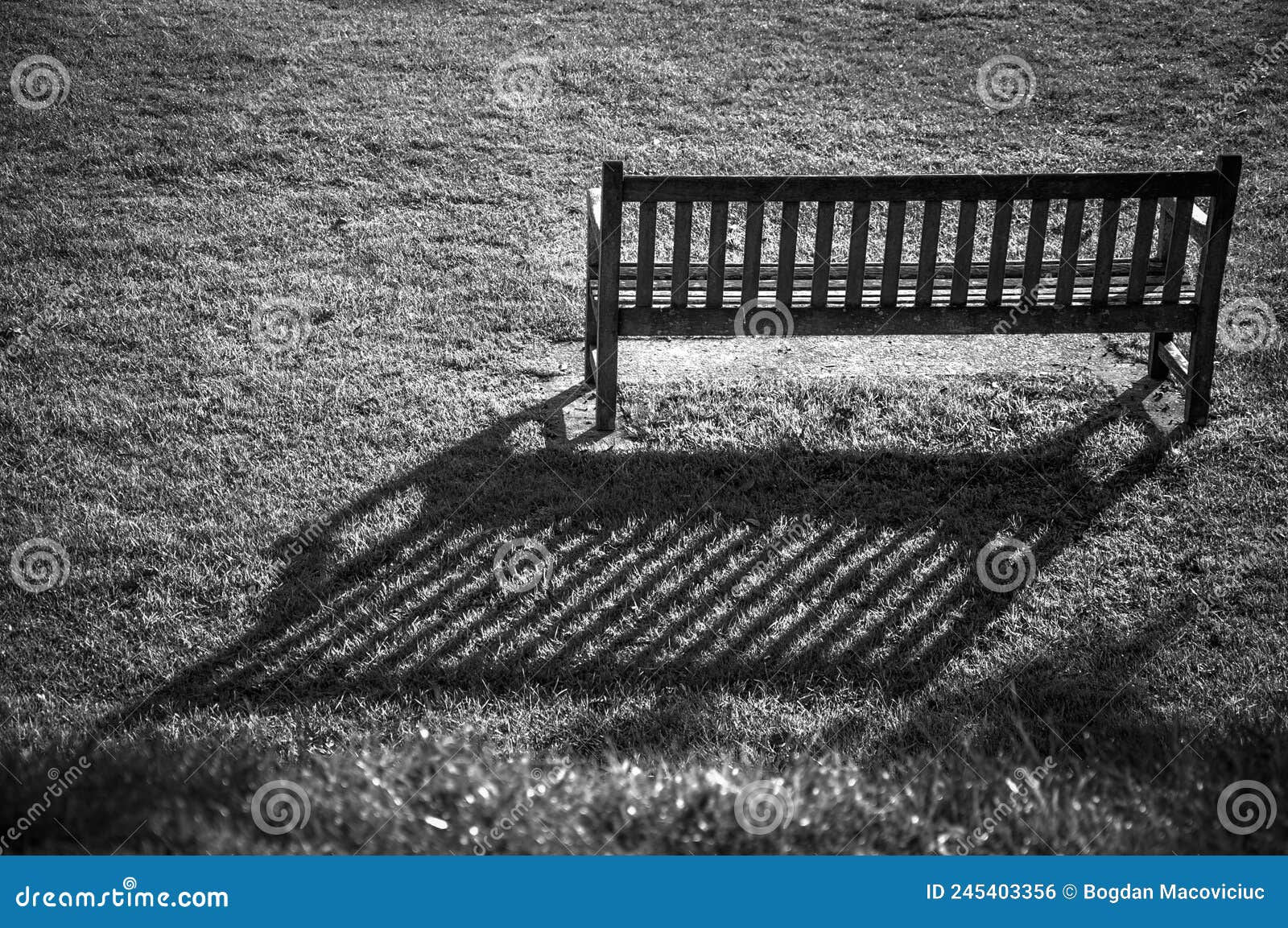 The Shadow of the Bench in England Stock Photo - Image of floor, tree ...