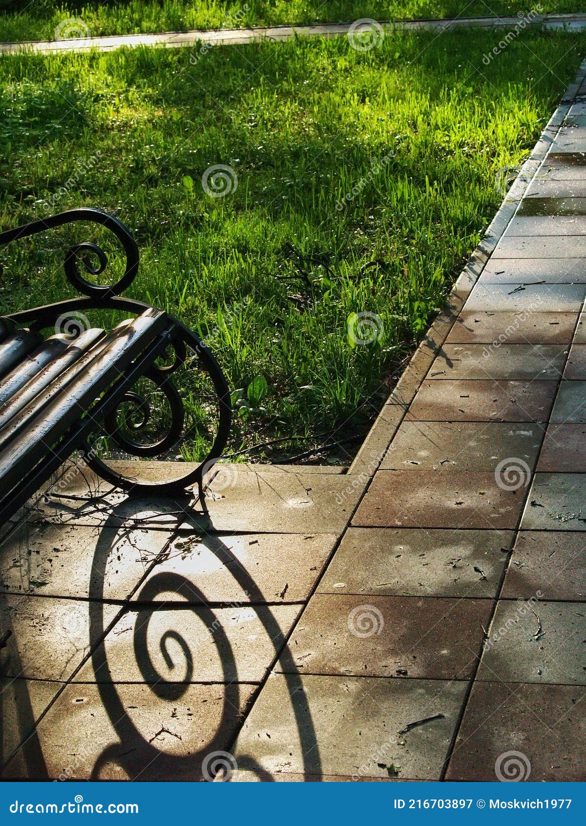 Shadow From The Bench On The Walkway In The Park Stock Image ...