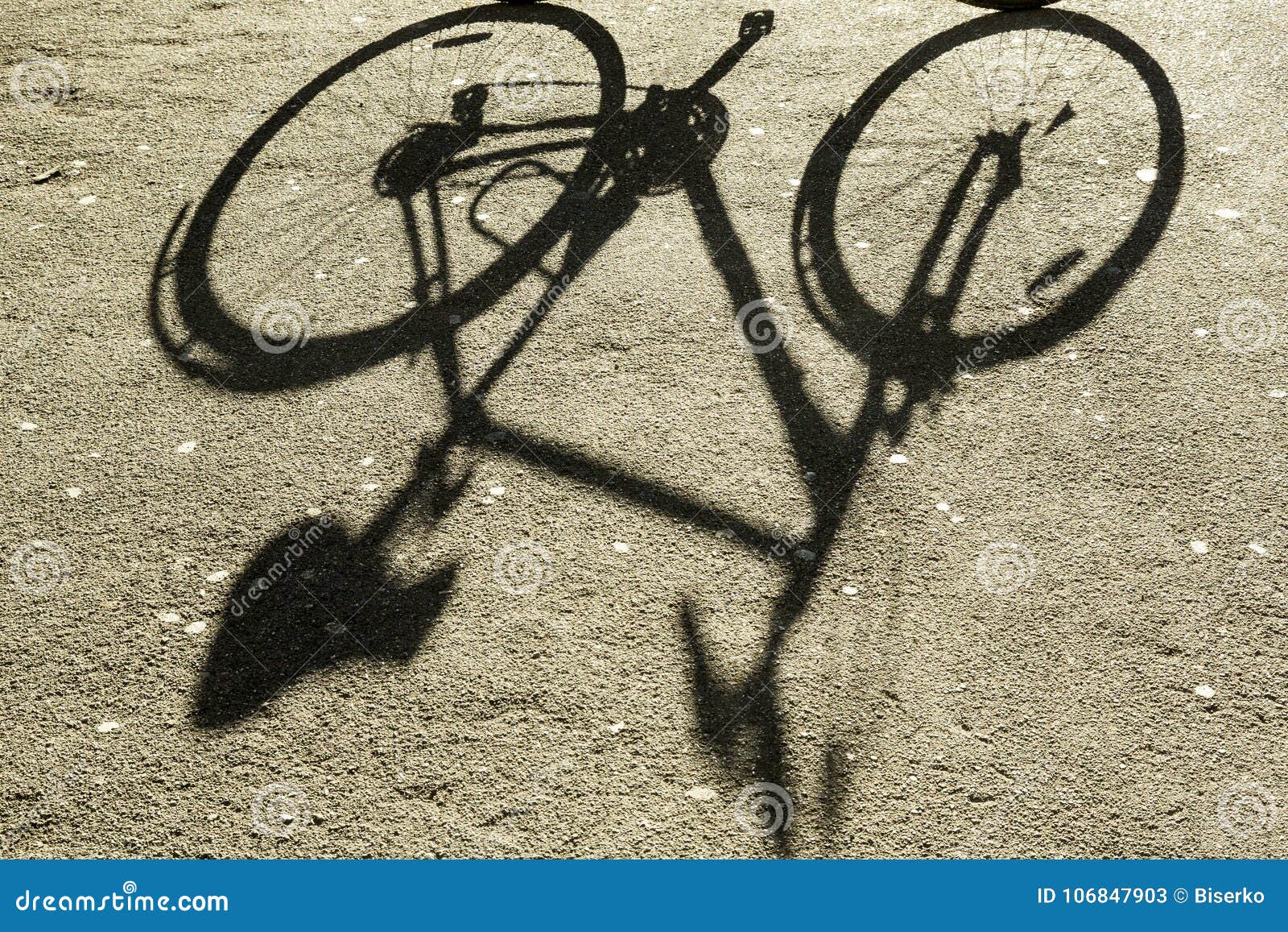Shadow of the bicycle stock image. Image of asphalt - 106847903