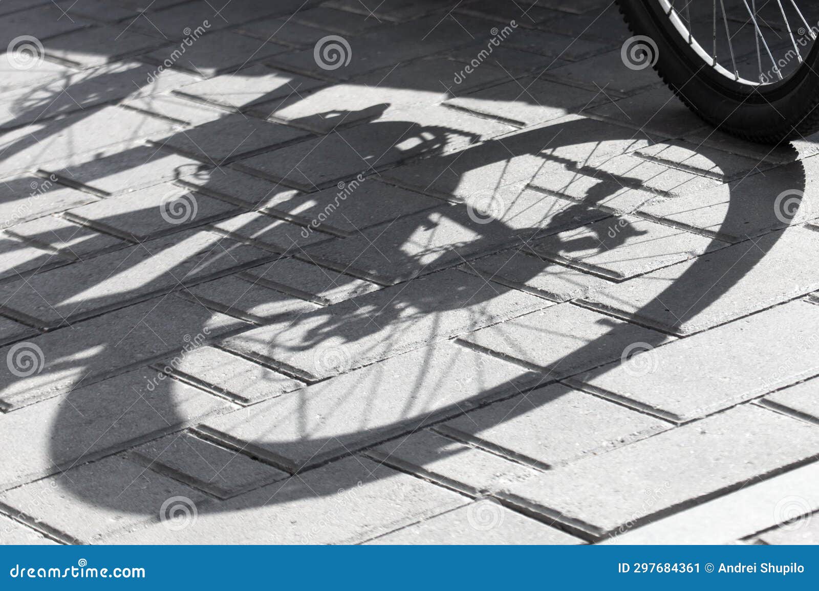 The Shadow of a Bicycle Wheel on the Paving Slabs Stock Image - Image ...