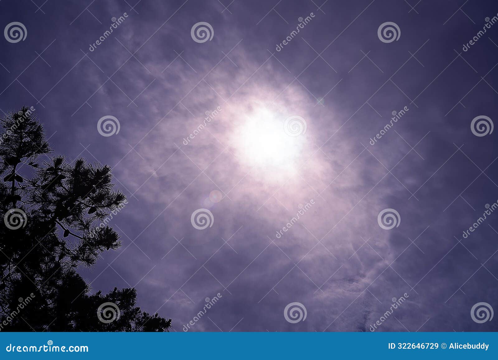 Shadow of Big Tree and Dark Cloudy on the Sun Shading Sky for ...