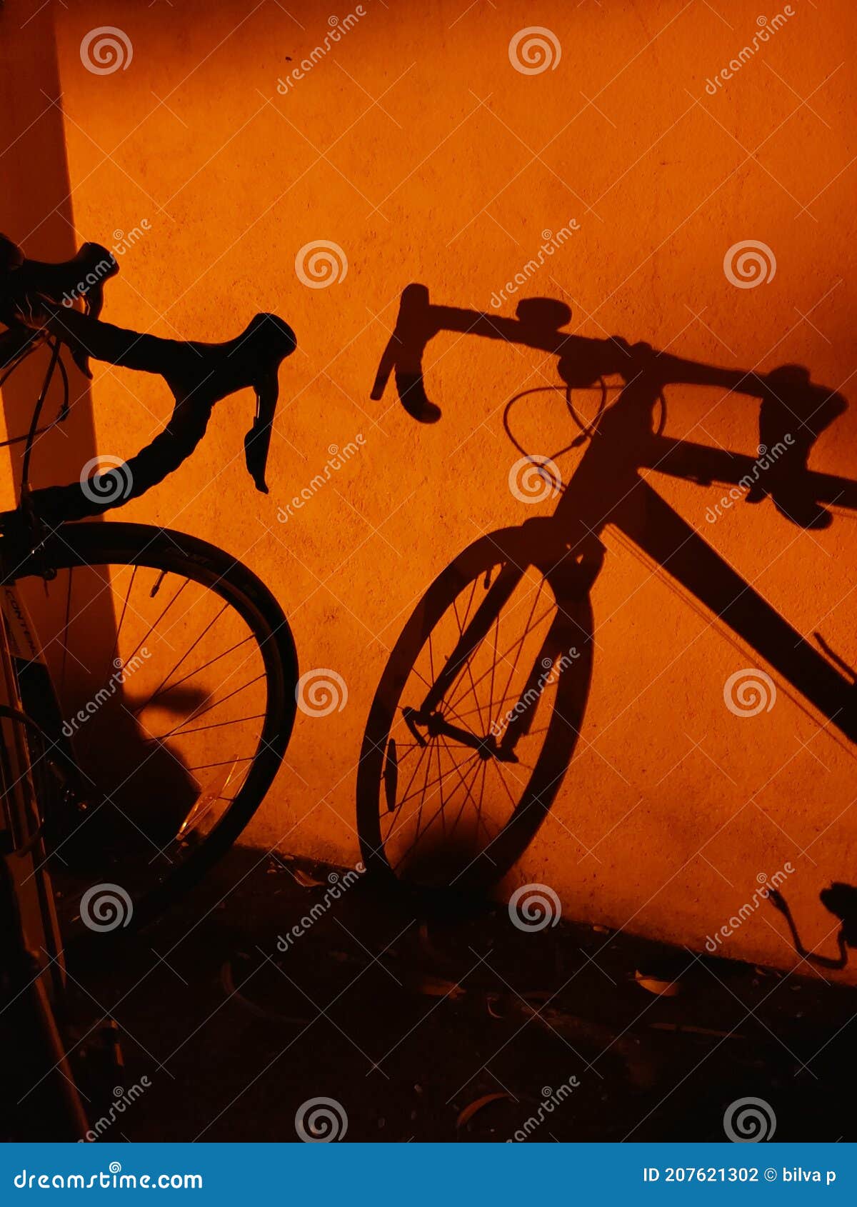 Shadow of a bike stock photo. Image of light, vehicle - 207621302