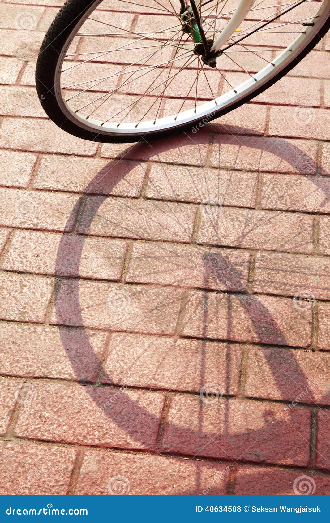 Shadow from Bike on Red Brick Road Stock Photo - Image of black, cycle ...