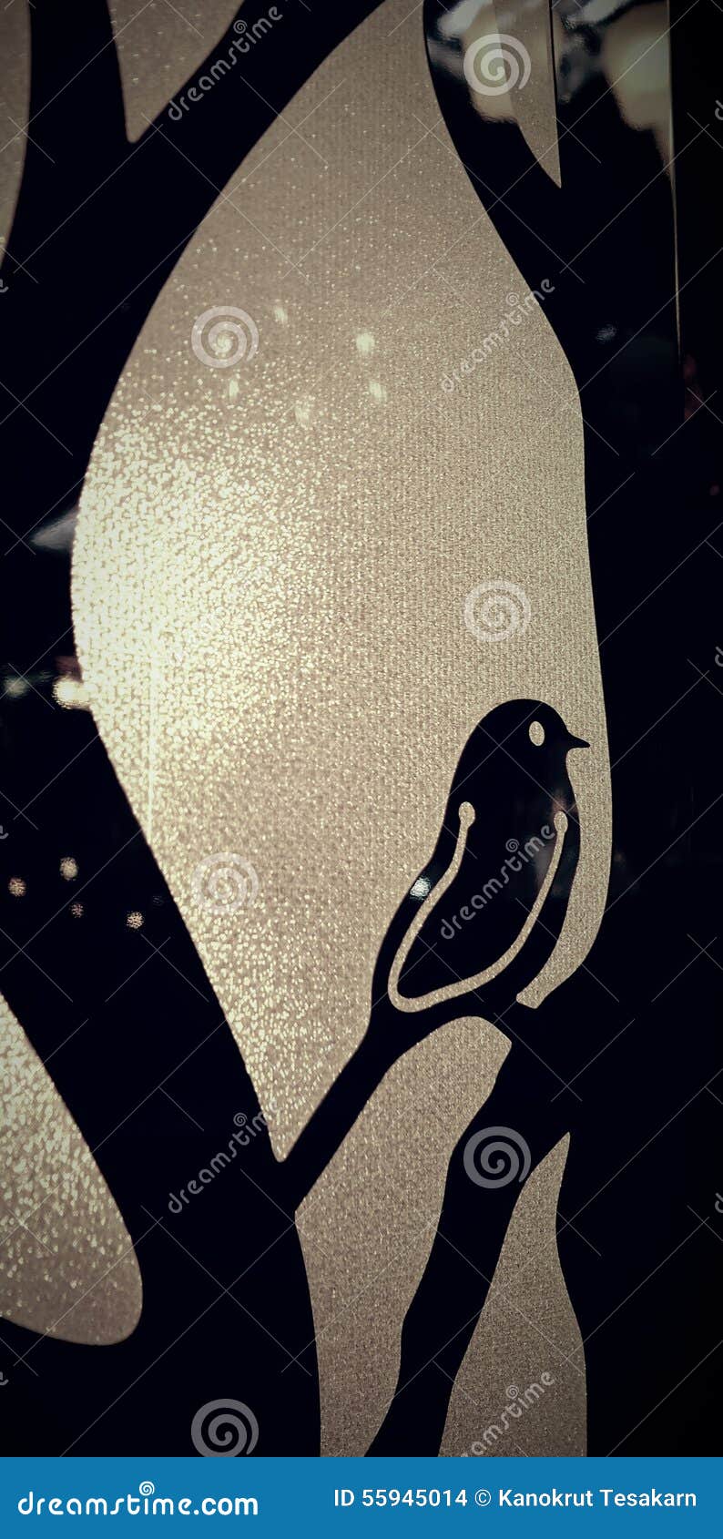 Shadow of Bird on the Branch Stock Photo - Image of light, moon: 55945014
