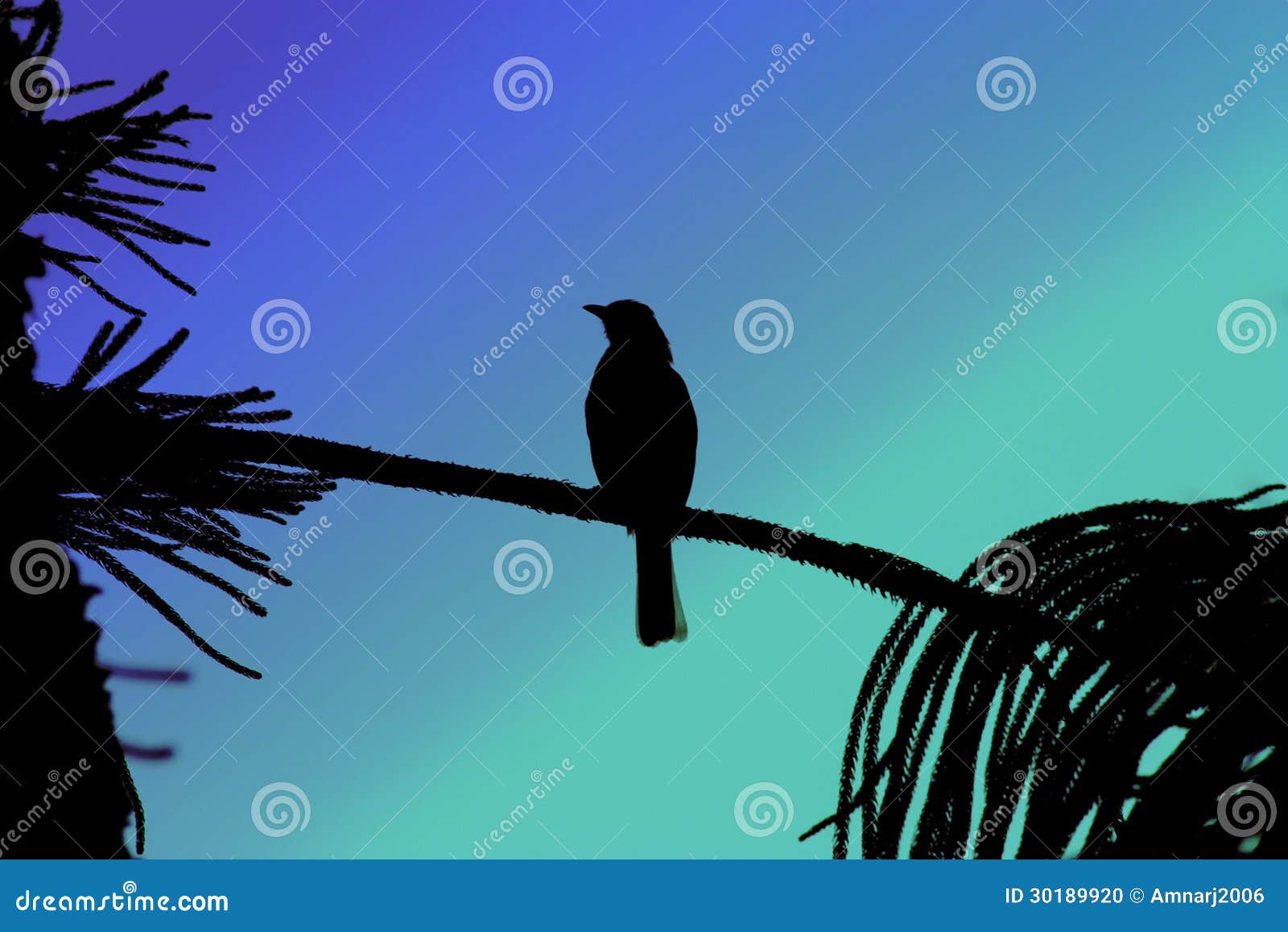 Shadow of bird stock illustration. Illustration of animal - 30189920