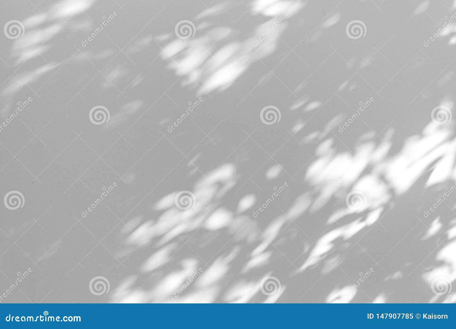Shadow Blur of the Leaves on White Wall Abstract Background Stock Image ...