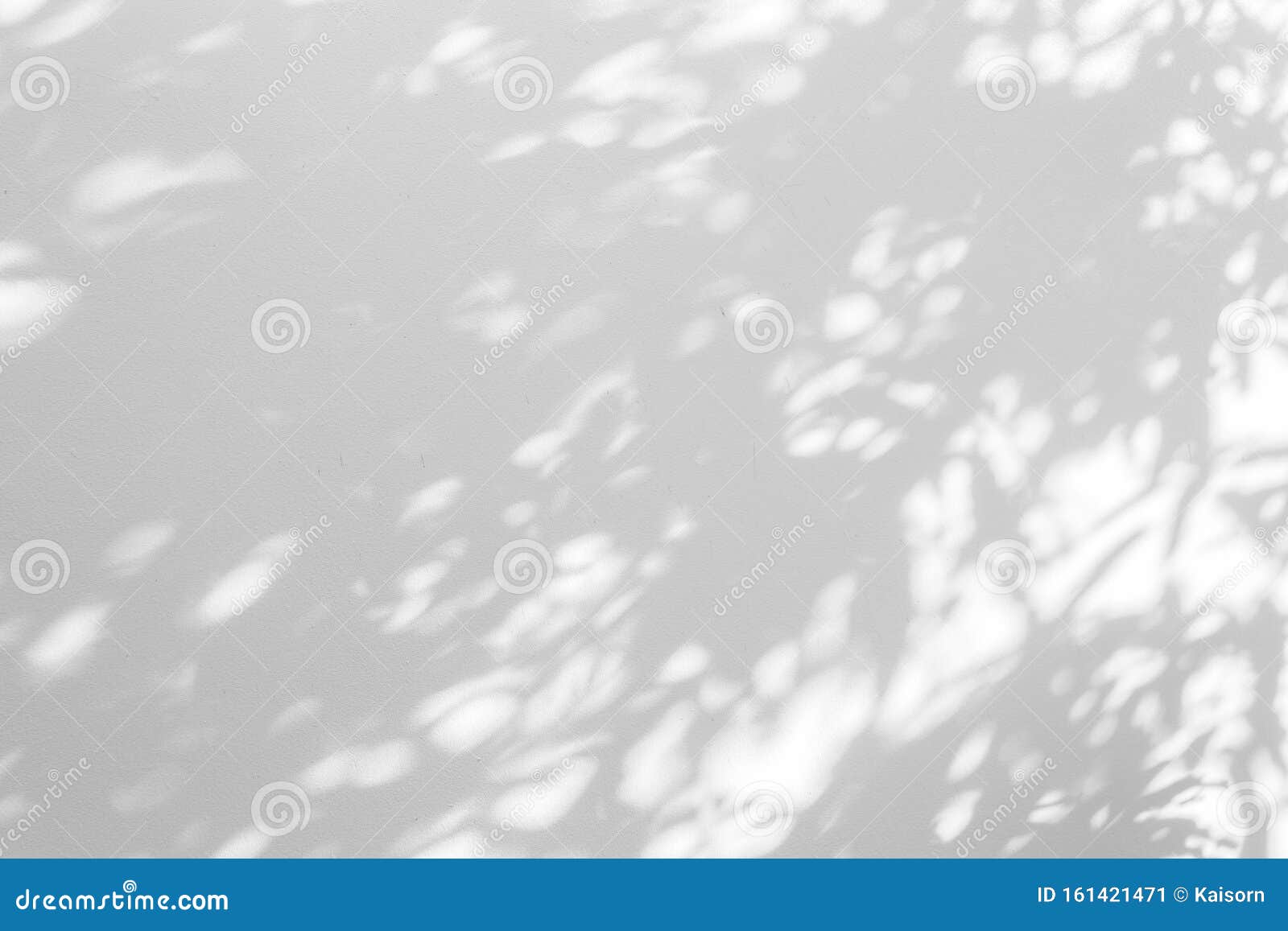 Shadow Blur of the Leaves on White Wall Abstract Background Stock Image ...