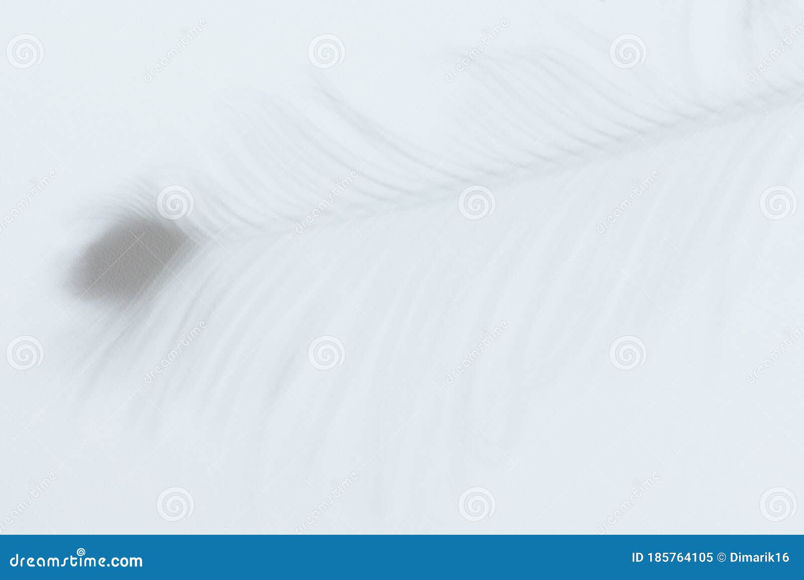 Shadow of Blurred Peacock Feather Stock Image - Image of graphic ...
