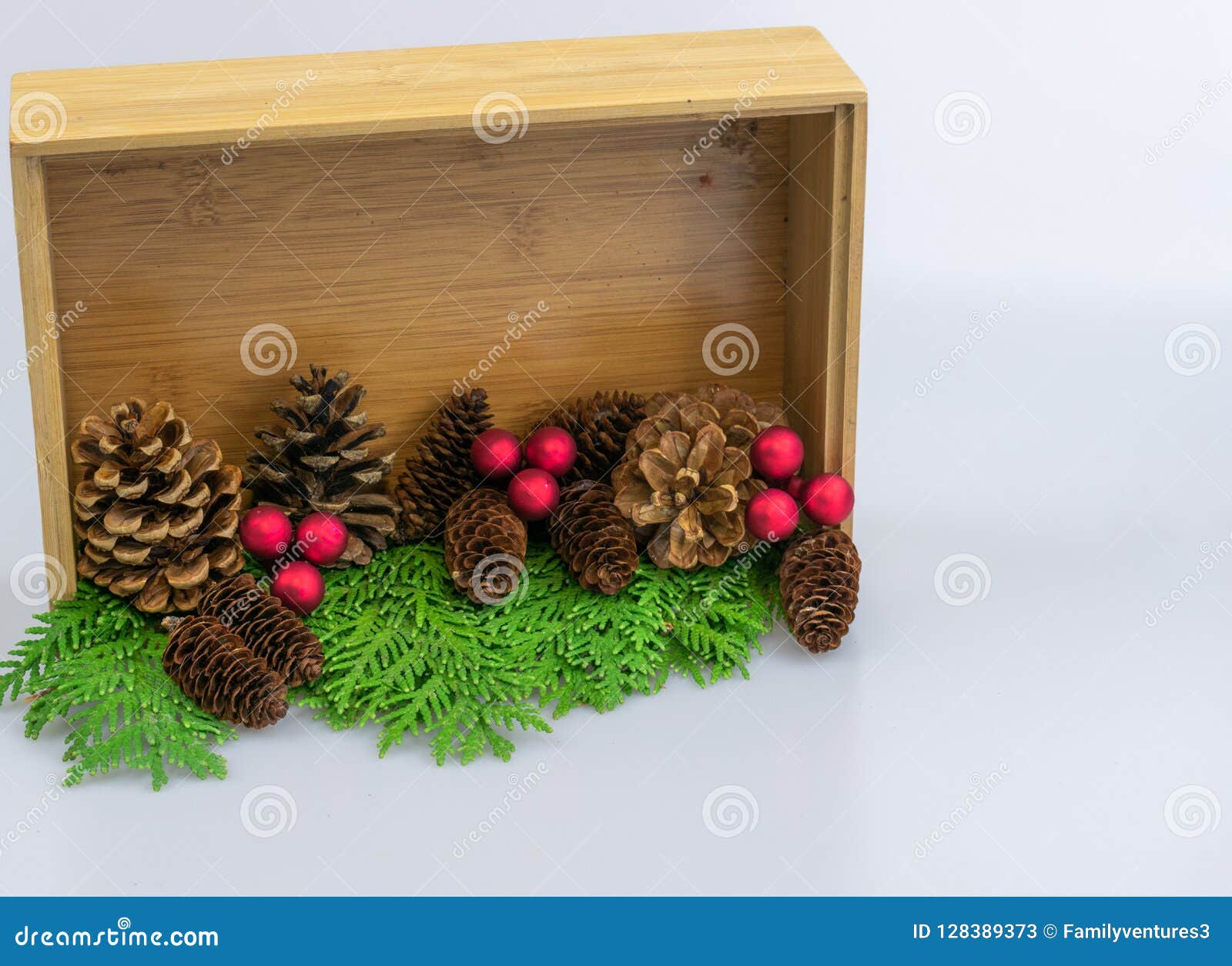 A Shadow Box with Pine Cones on Greenery Stock Image - Image of ...