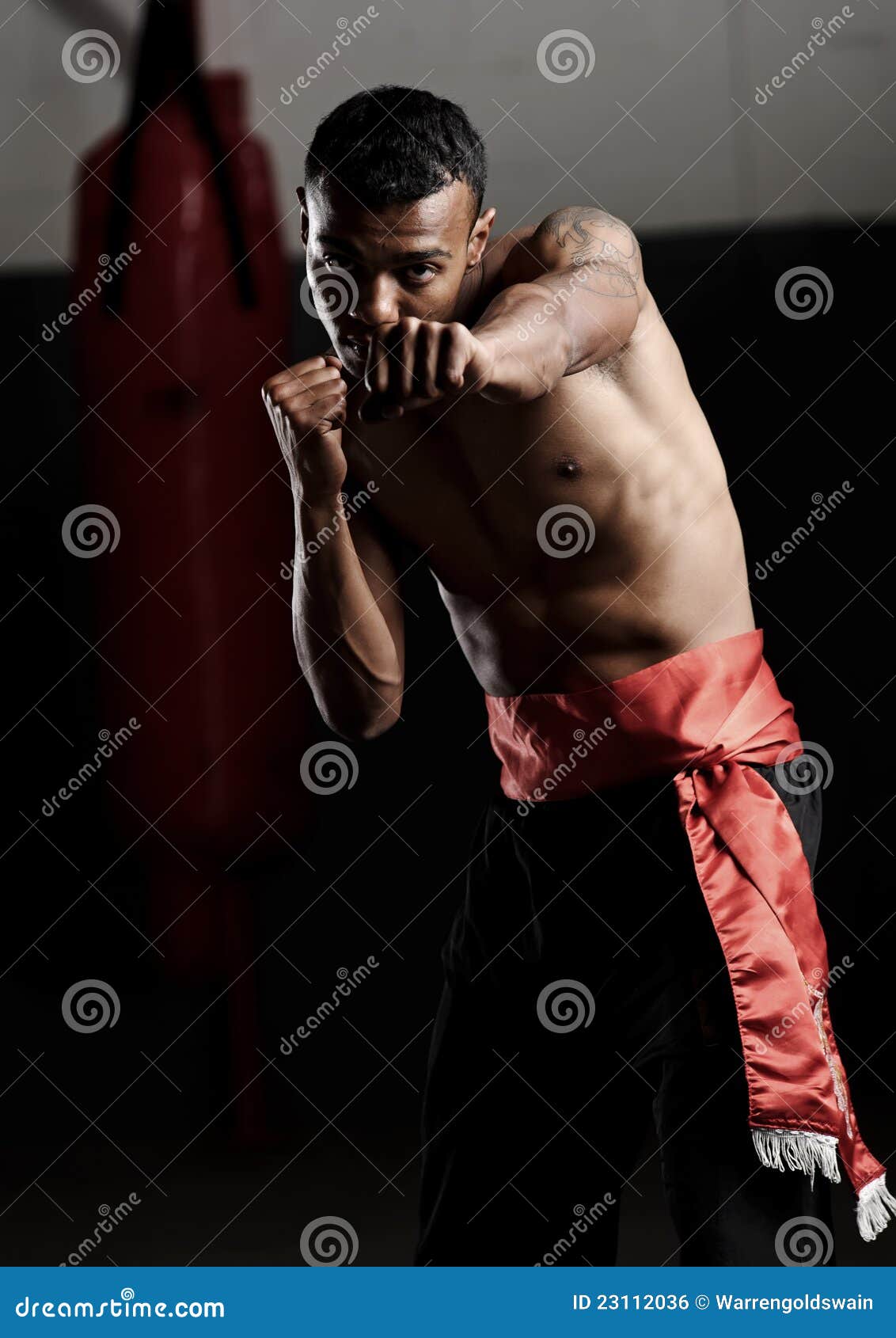 Shadow boxing stock photo. Image of combat, confrontation - 23112036