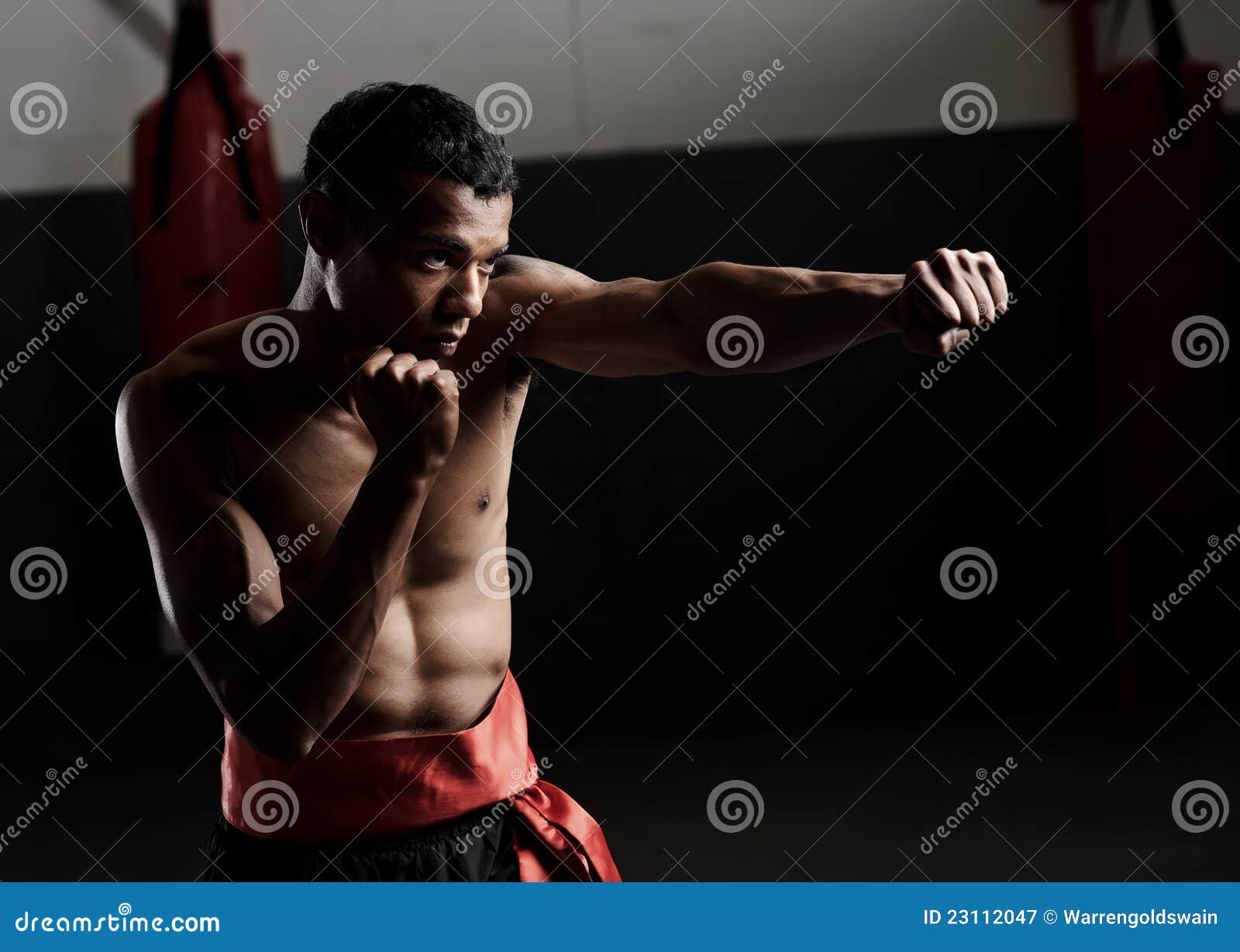 Shadow boxing stock image. Image of concept, attack, combat - 23112047