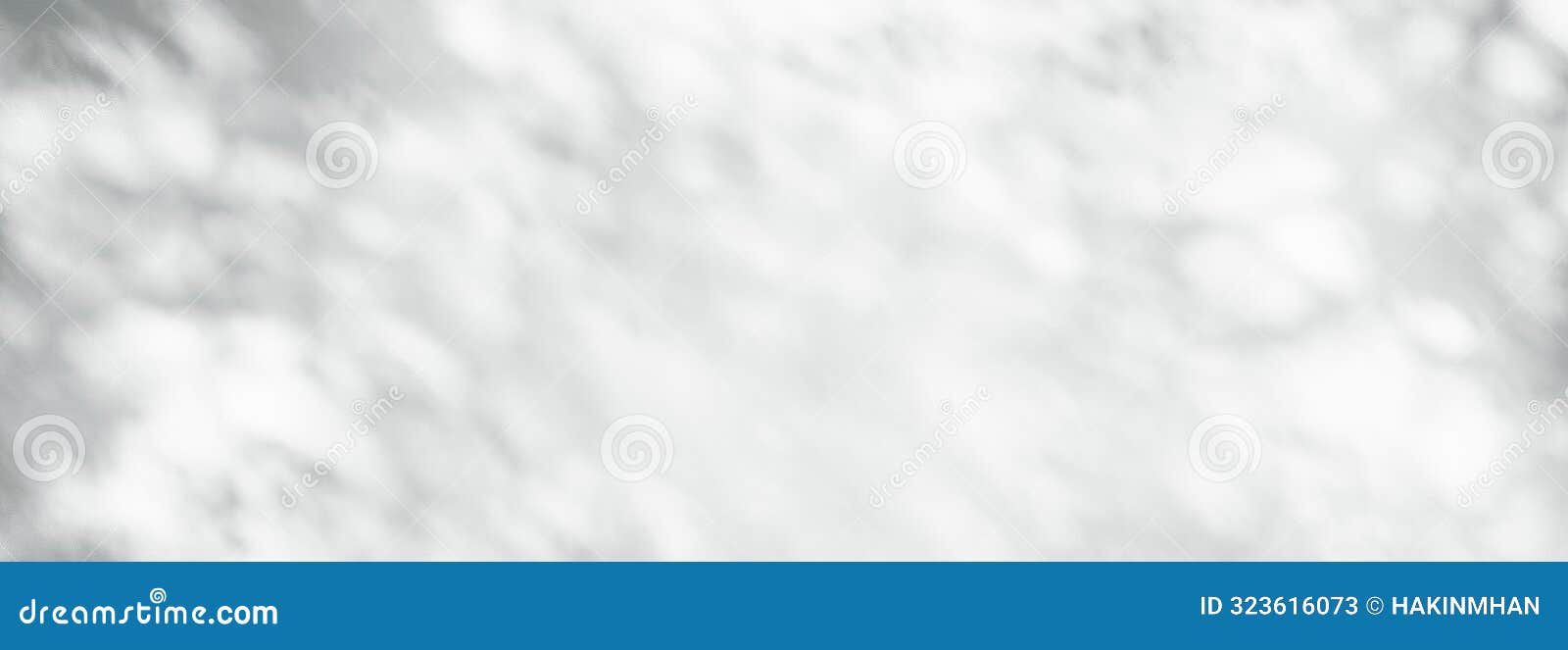 Shadow of Branch Leaves on White Wall Background Stock Image - Image of ...