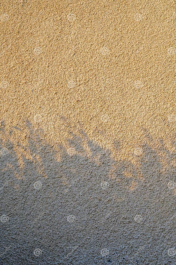Shadow from Branches on Decorative Plaster on an Old House Wall Stock ...